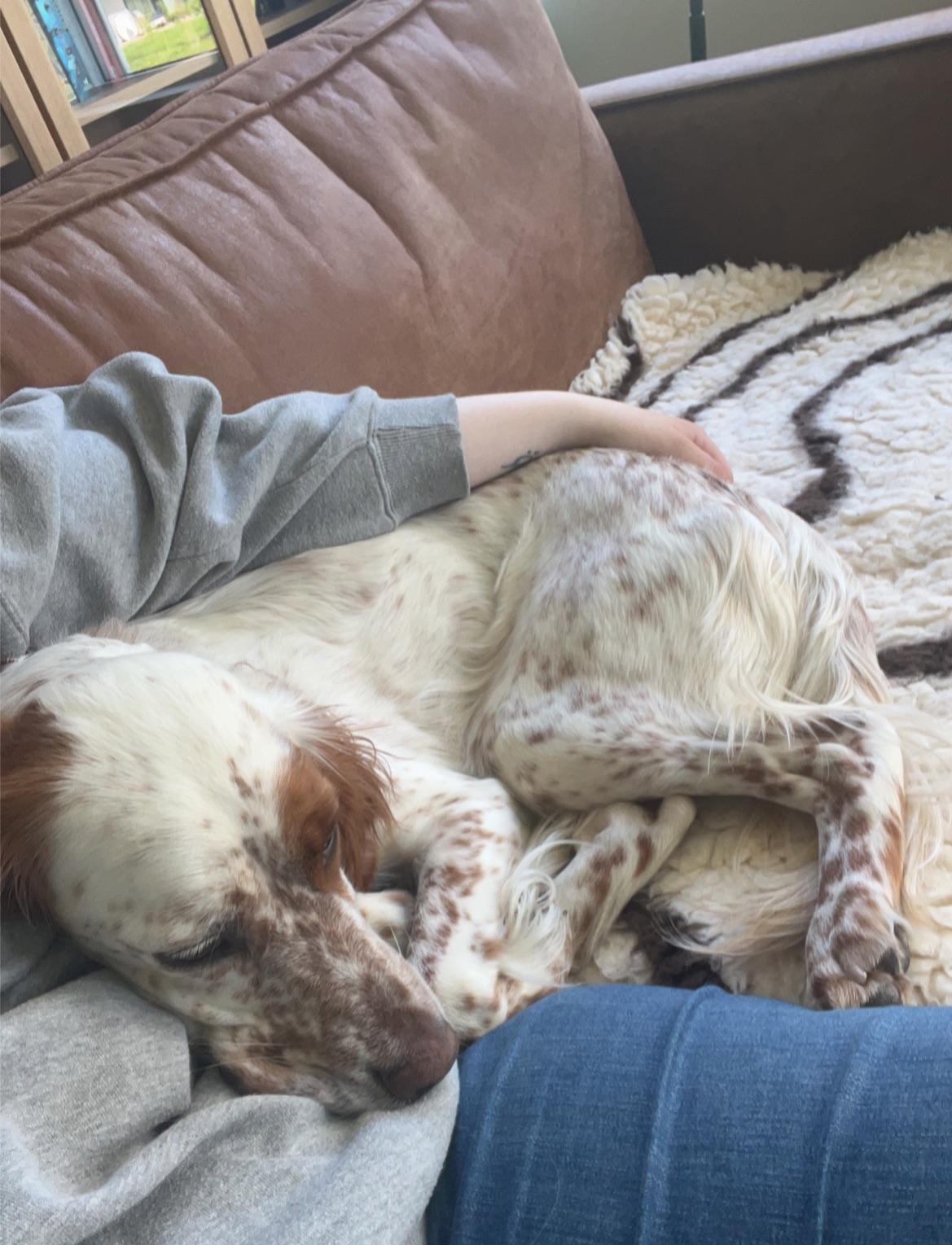 Life’s complete | Scrolller