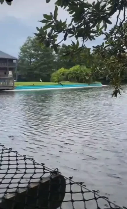 Sneak attack | Scrolller