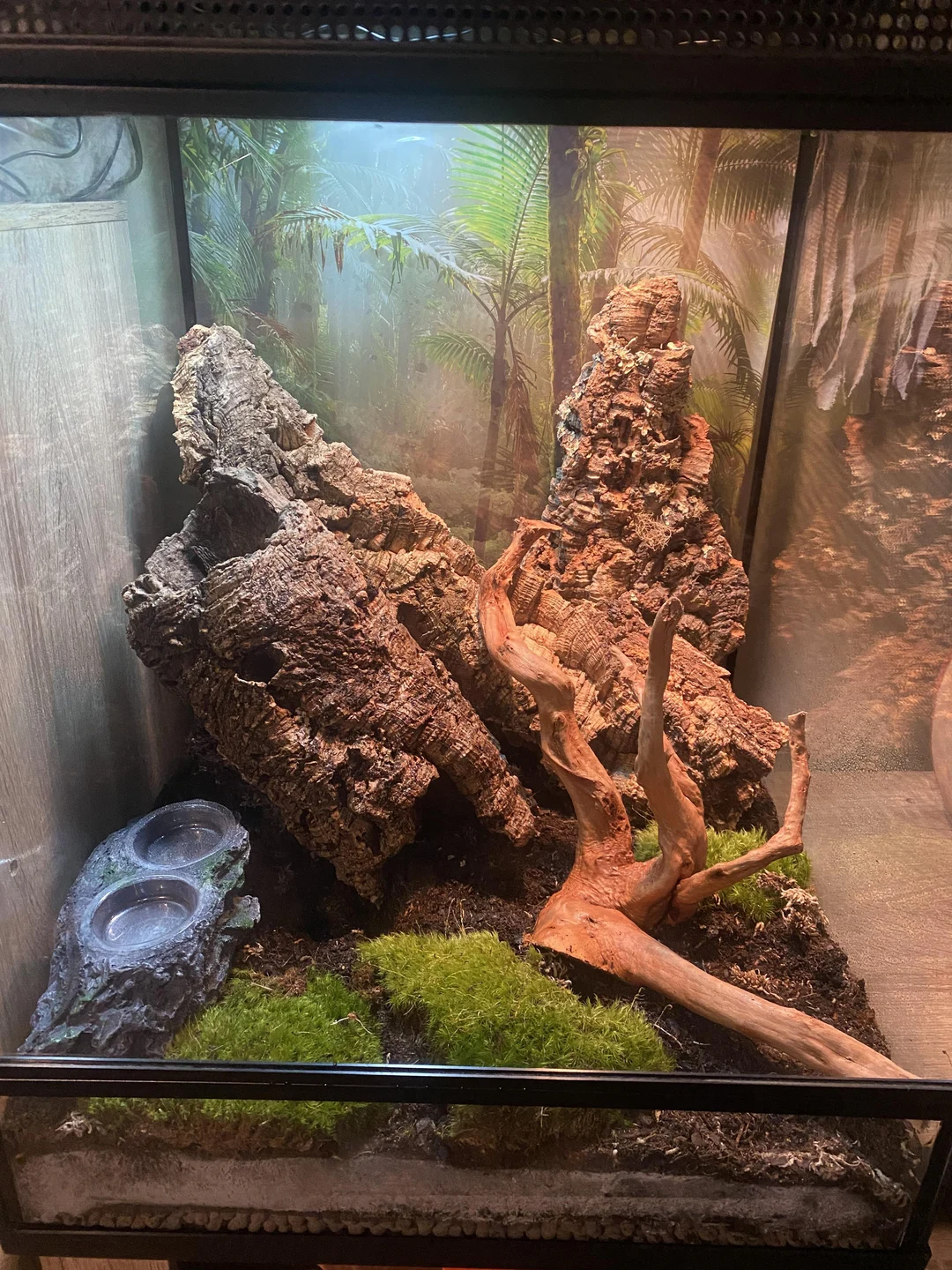 Enclosure setup | Scrolller