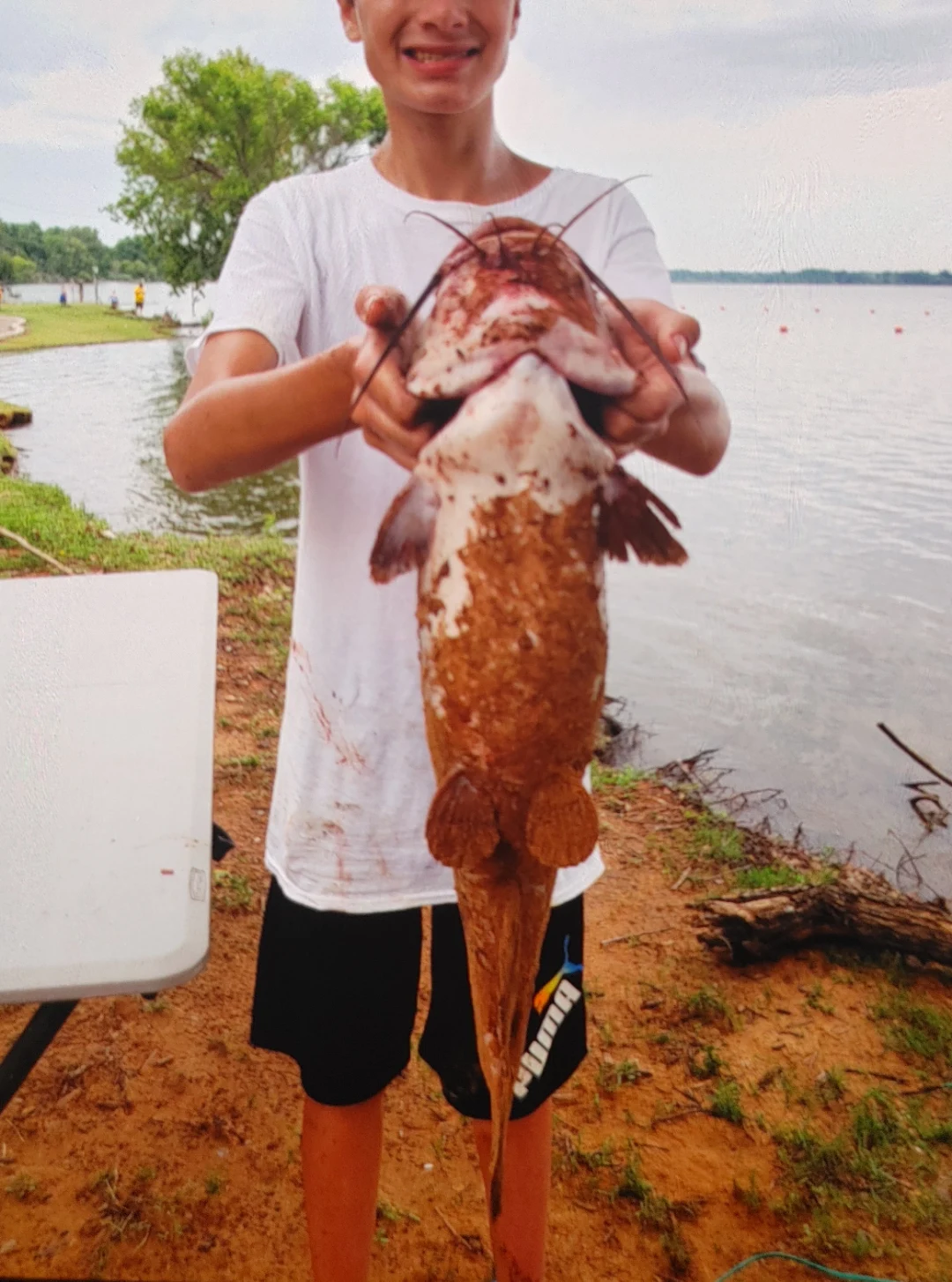 Caught this nice channel cat down at ft cobb (I apologize for the muddy fish) | Scrolller
