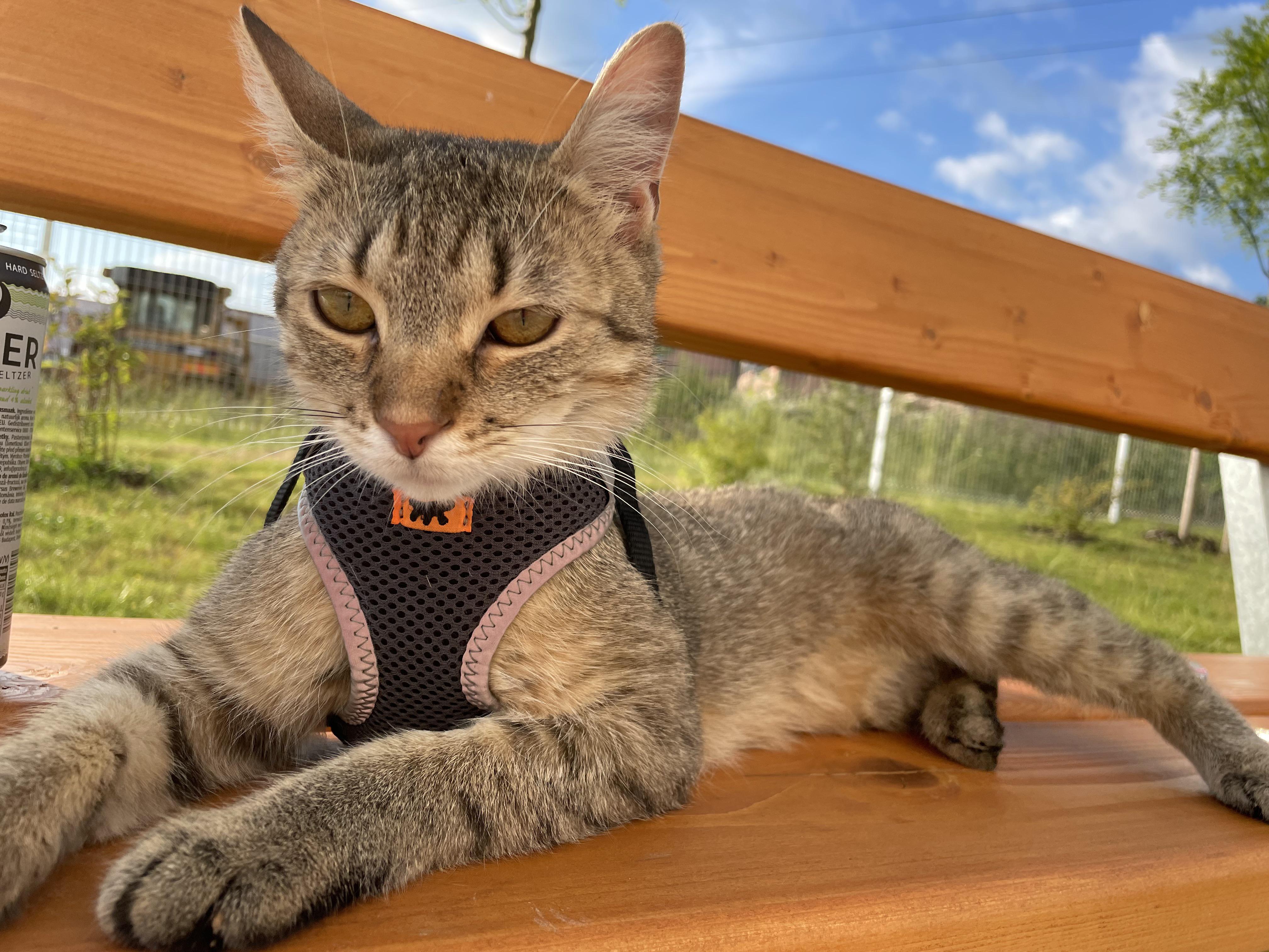 Aura taking it easy | Scrolller