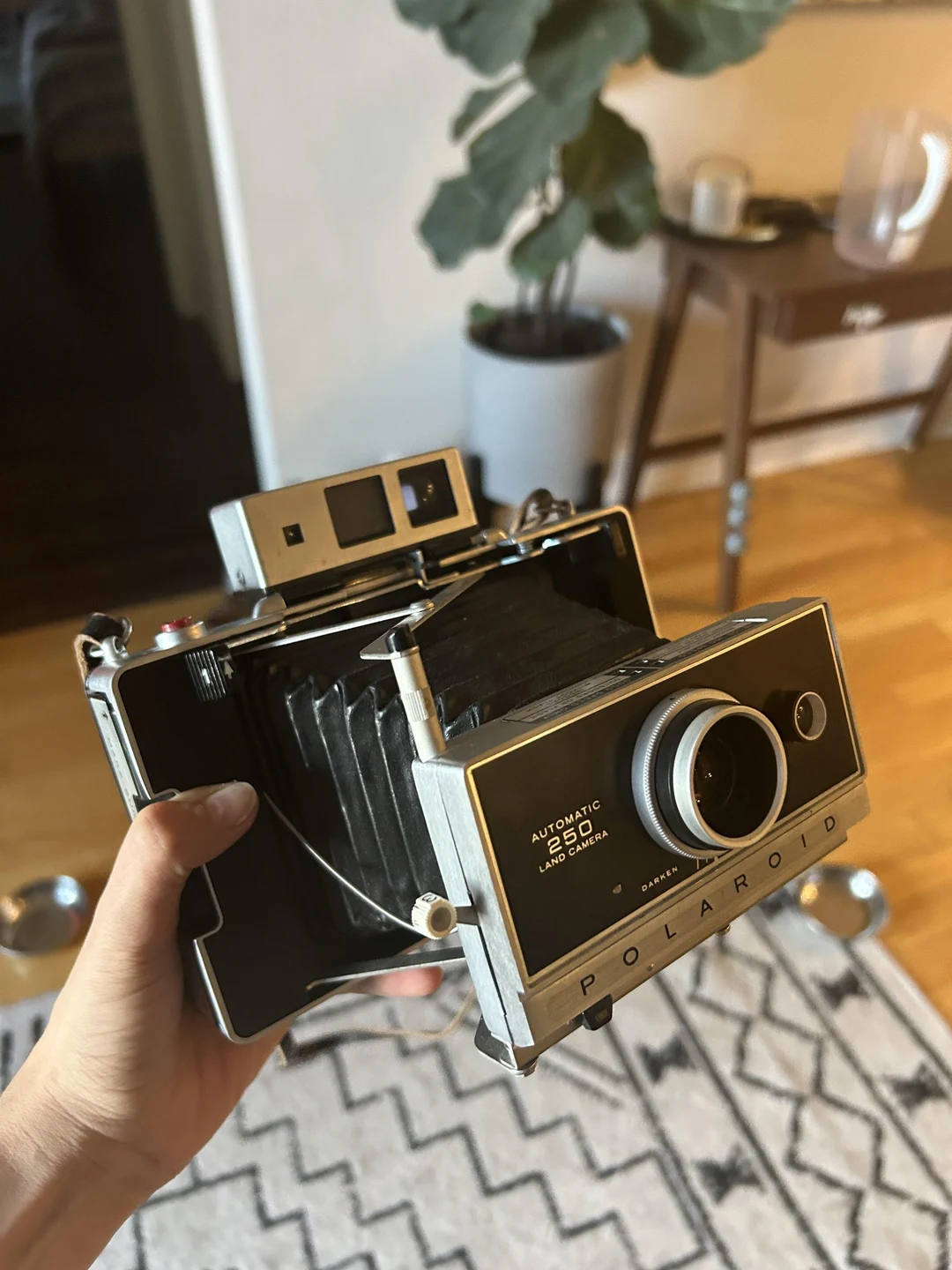 Film for a 1960 250 Polaroid Land Camera? | Scrolller