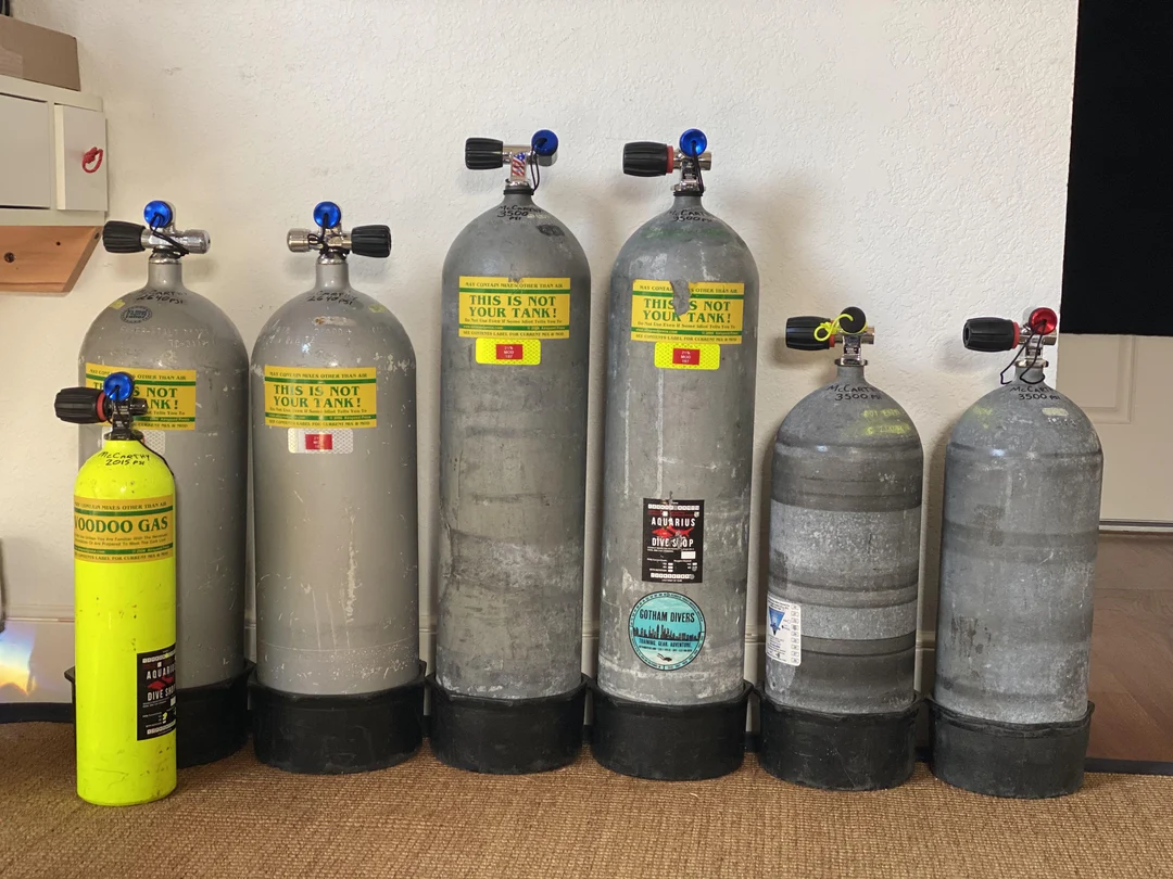 Don’t feed them after midnight | Scrolller