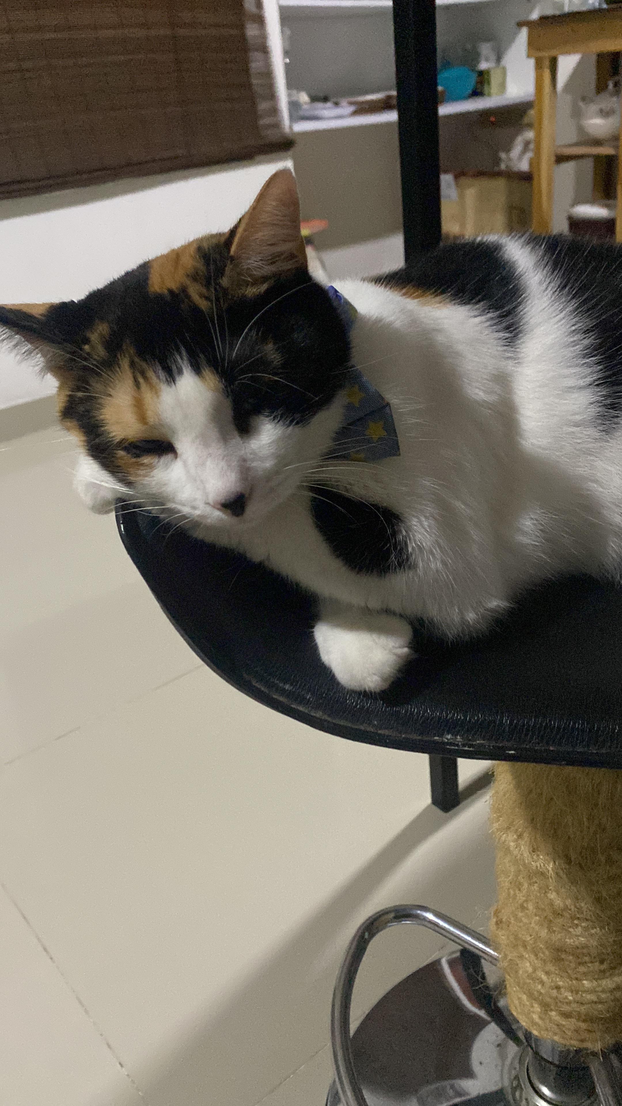 My little Nirvana 💞💞💞 | Scrolller