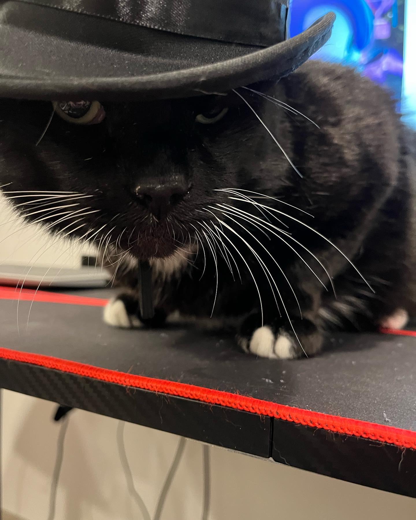 Smooth Criminal | Scrolller