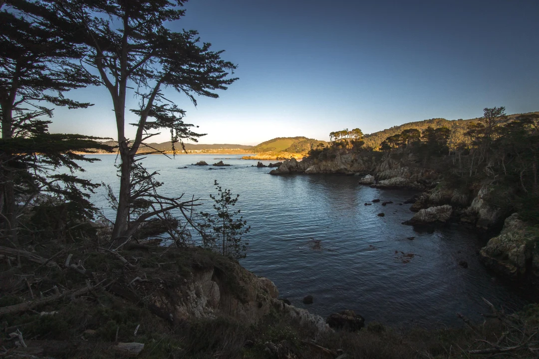 Whaler's Cove. Point Lobos State Natural Reserve. Carmel-By-The-Sea CA. [OC] [4607x3072] | Scrolller