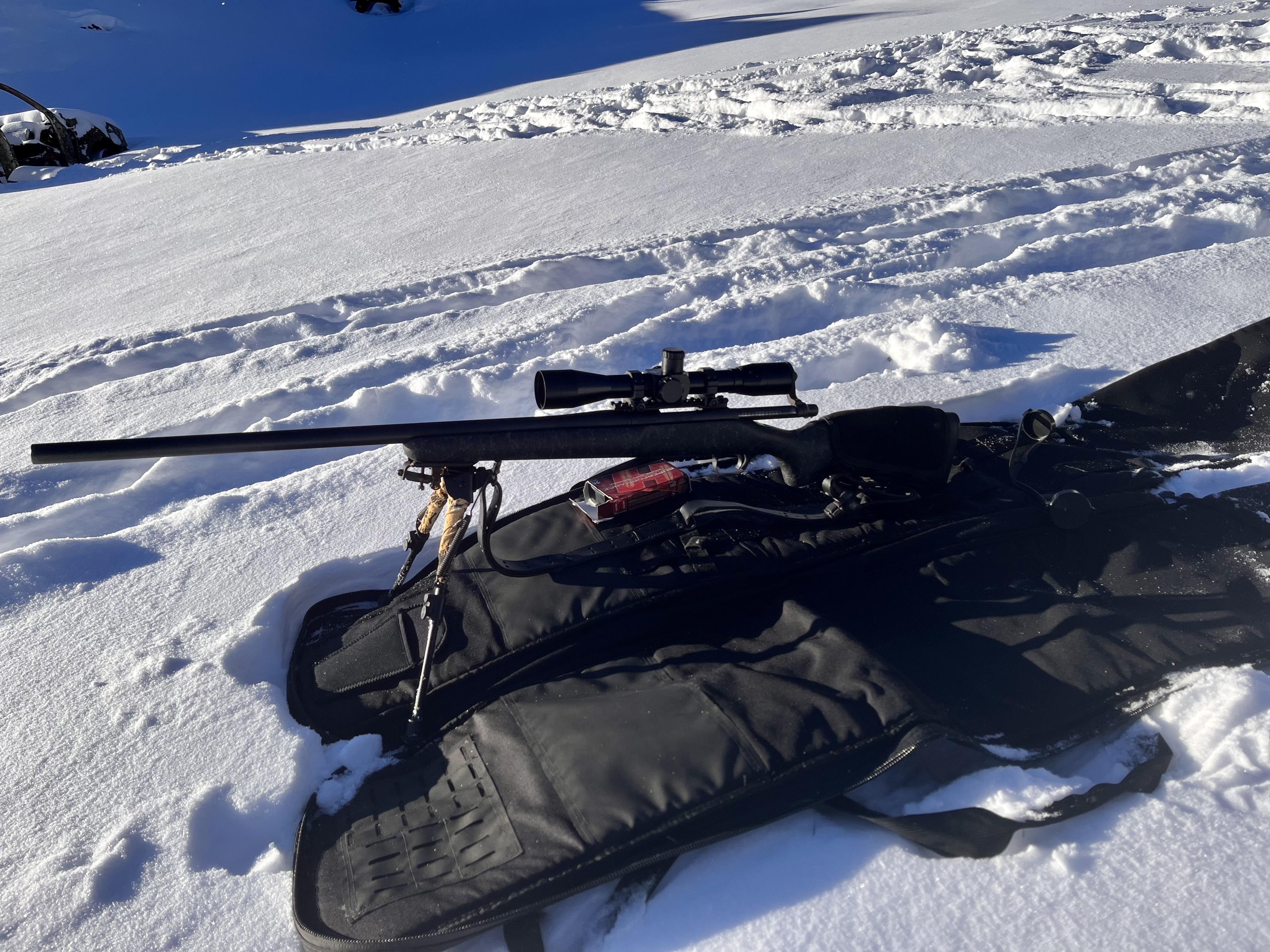 It was 7 degrees outside, had to take out the 308 | Scrolller