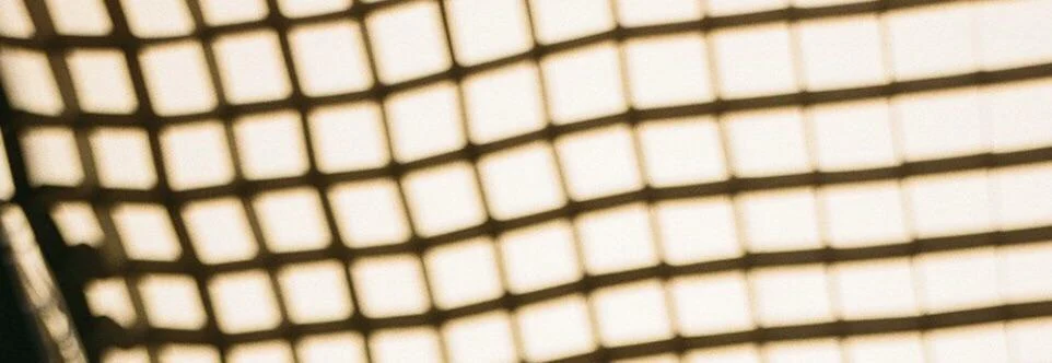 What is this grid thingy called? Looks kind of like a net covering a lamp. | Scrolller