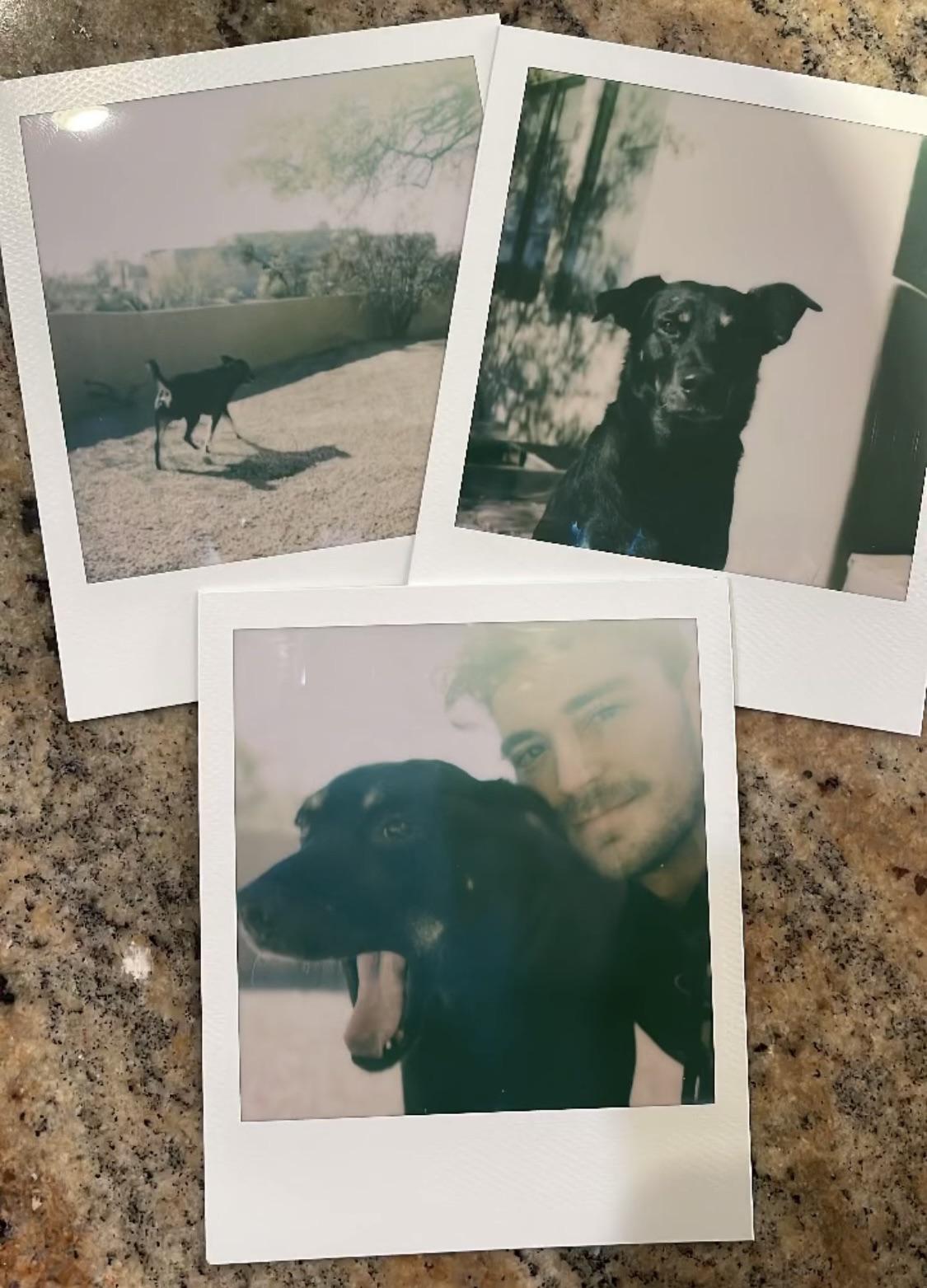 Snapped these pics of my best friend with my SX-70 | Scrolller