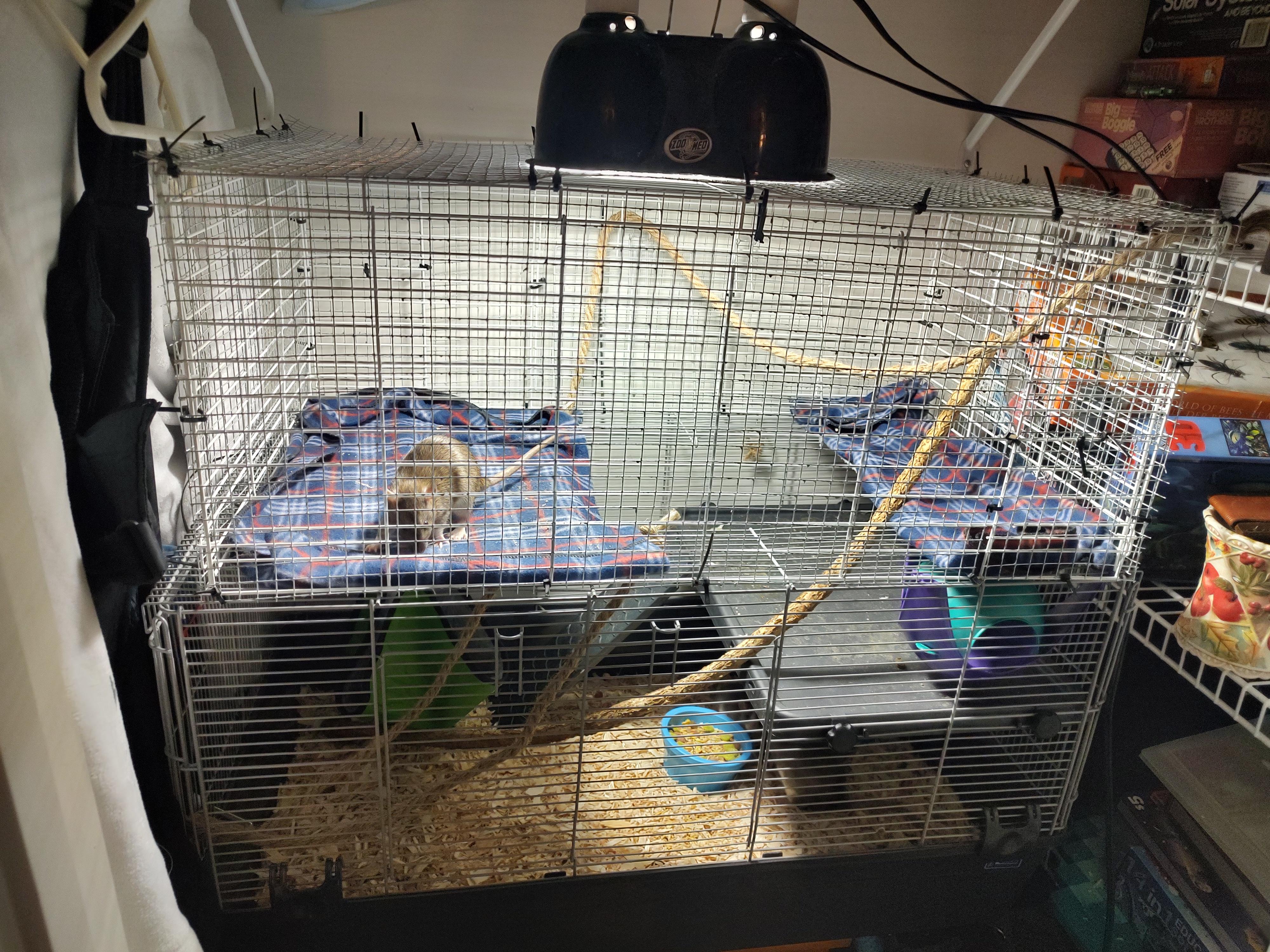 Diy cage (read description) | Scrolller