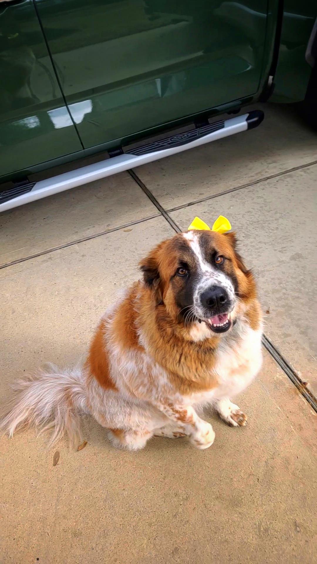 Peach Got A Makeover | Scrolller