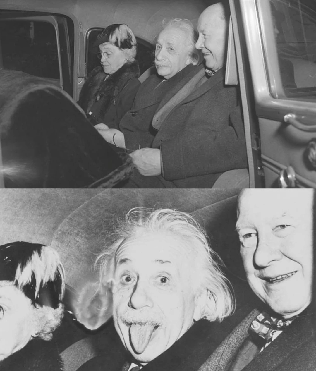 Albert Einstein moments before his famous photo with his tongue out, March 14, 1951. He was ...