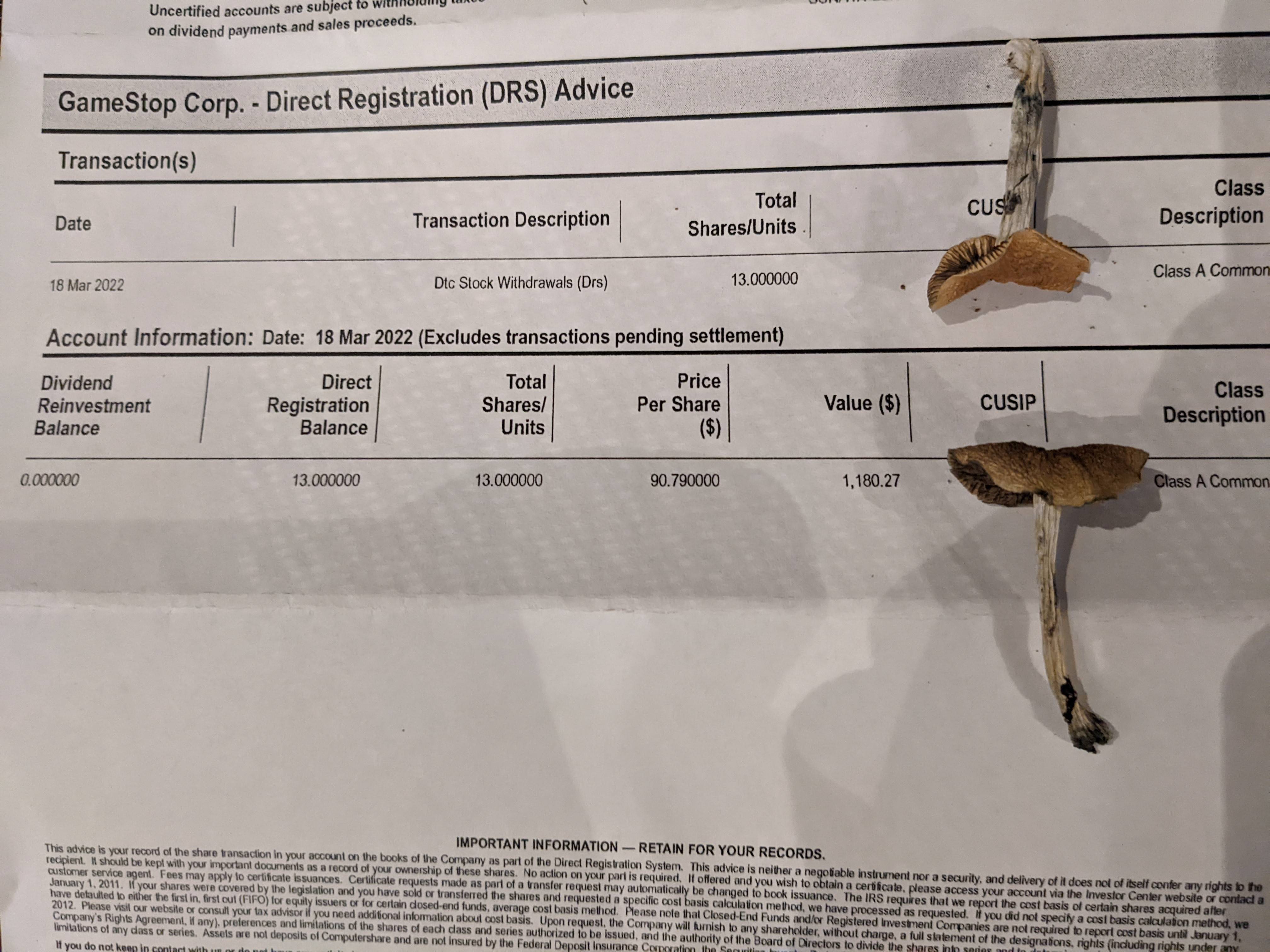 Feed the bot for ultimate glory!!! 🇨🇦🍁🇨🇦 | Scrolller