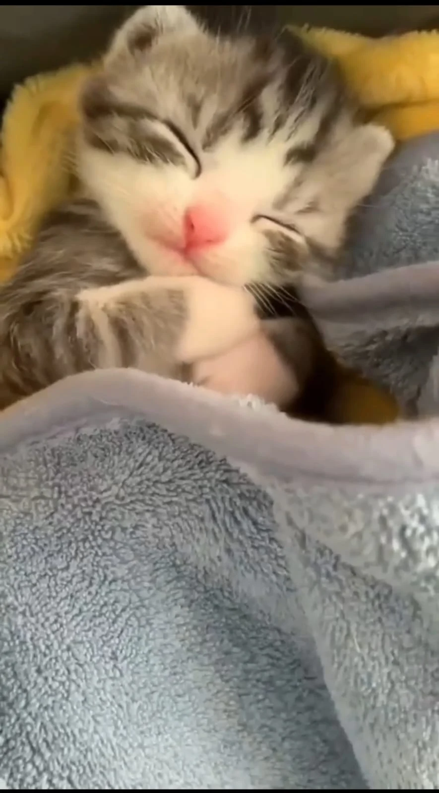 How cute she looks while sleeping | Scrolller