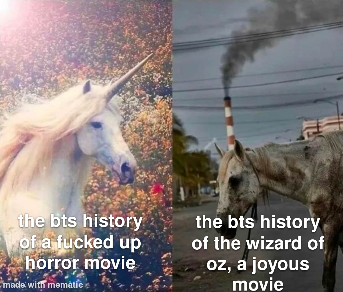 Prove me wrong | Scrolller