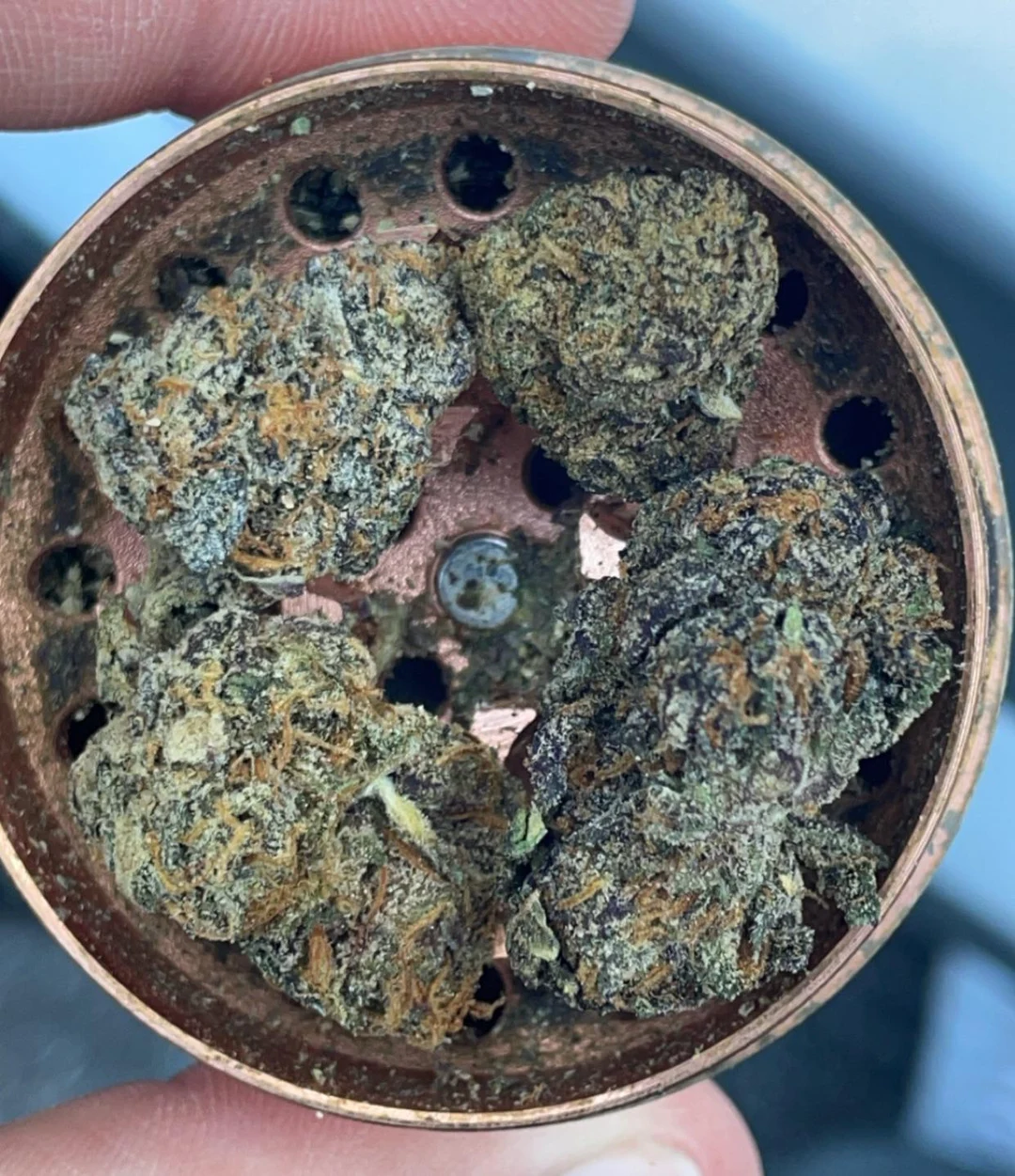 No flash, 4 different strains🔥 | Scrolller