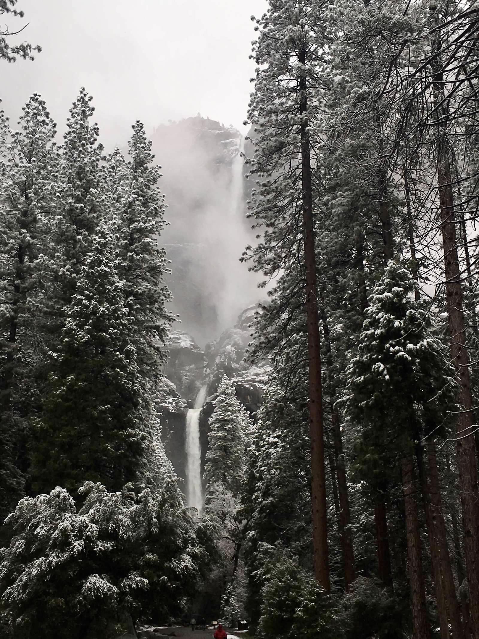 Yosemite falls. | Scrolller