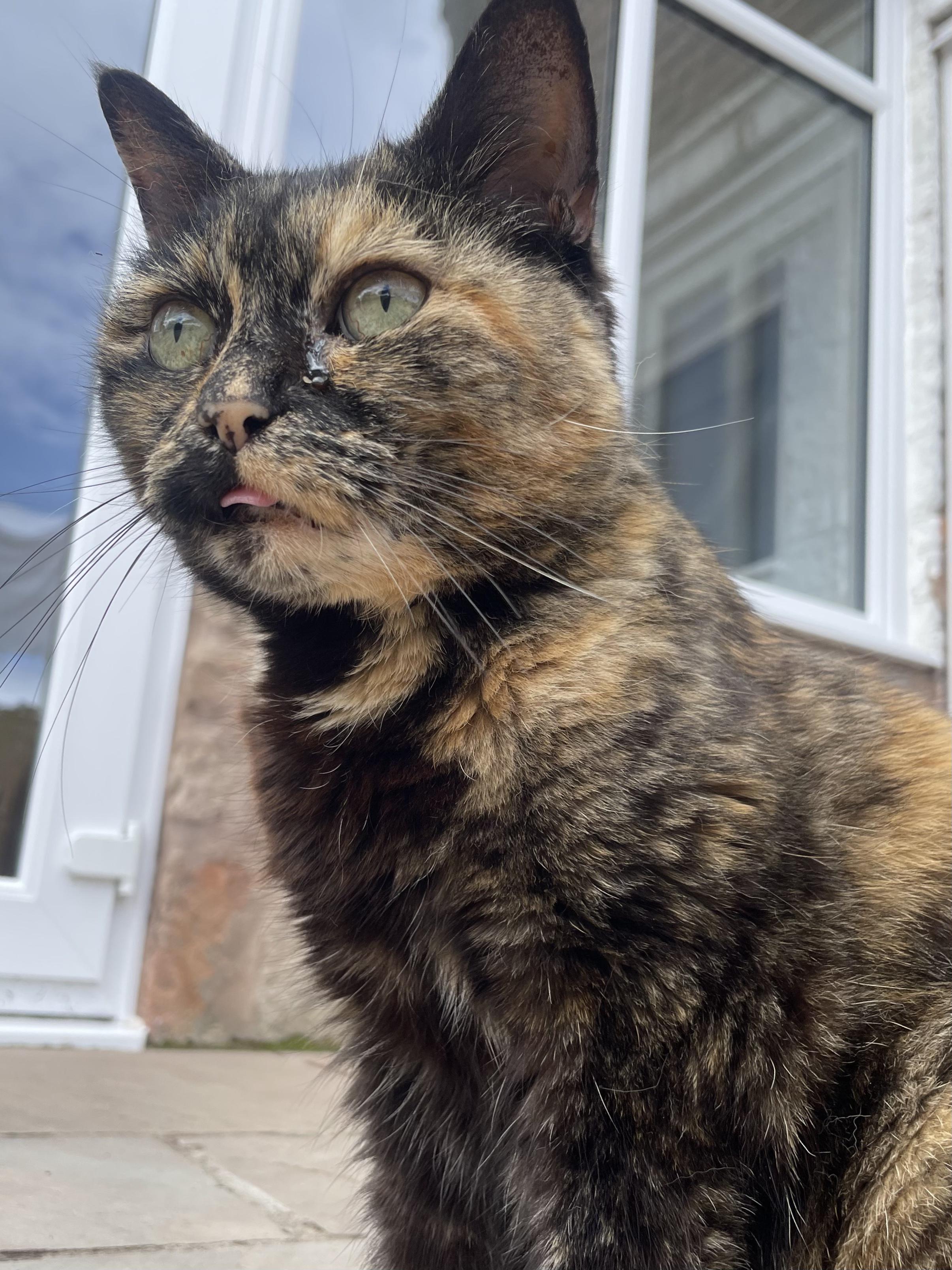 old lady blep | Scrolller