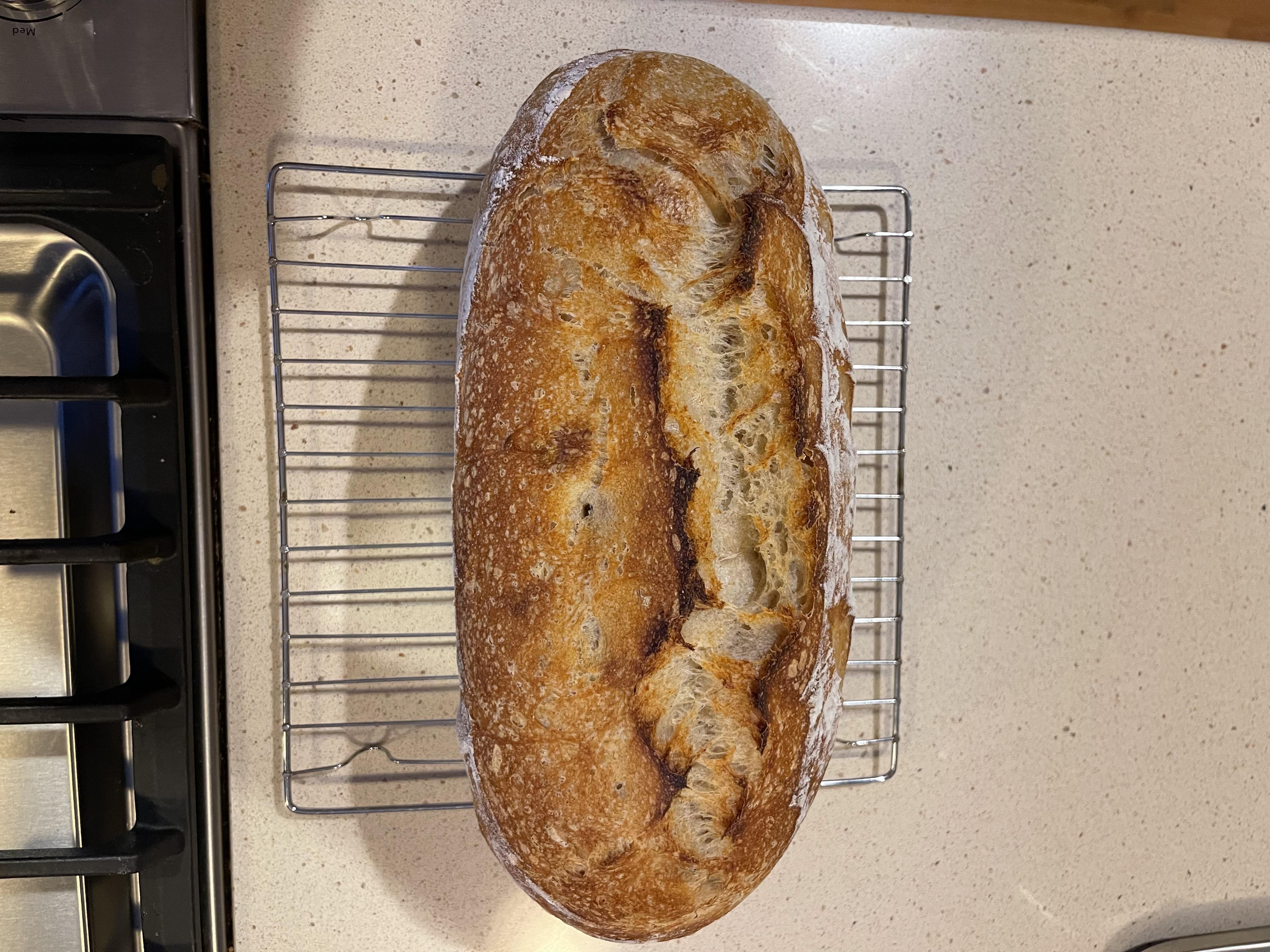 Sourdough | Scrolller