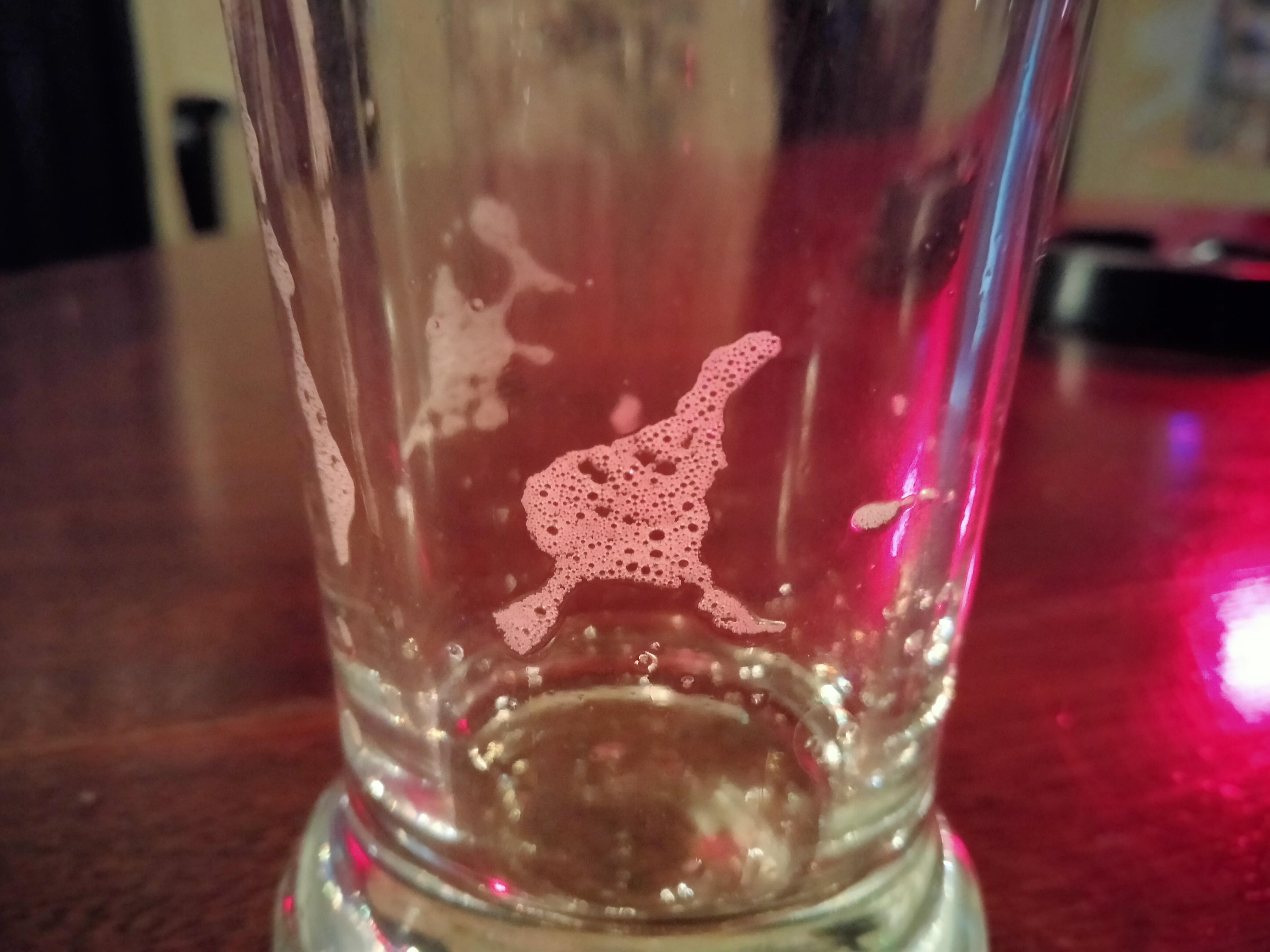 The foam in my pint created a duck | Scrolller