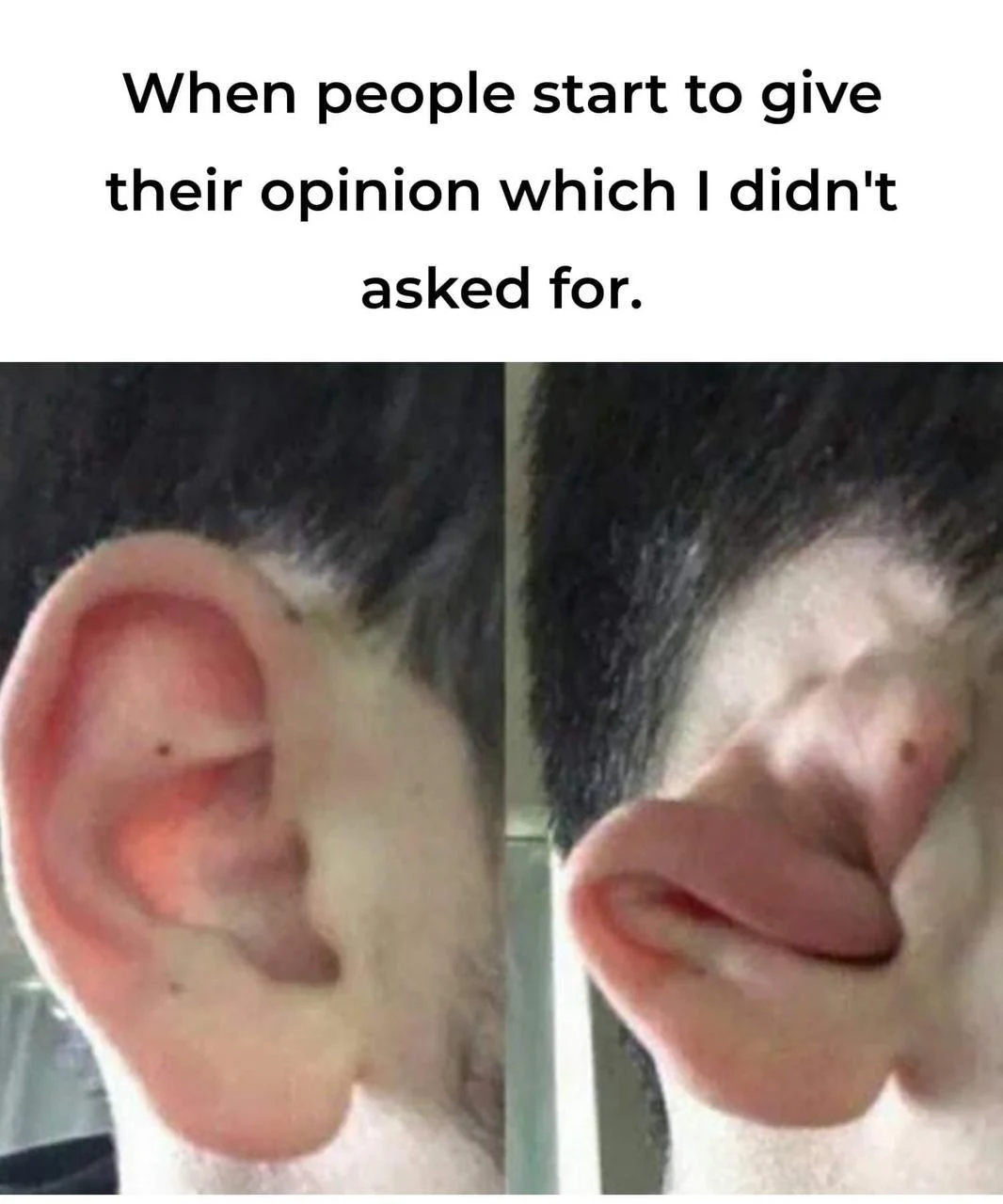 Whatever | Scrolller