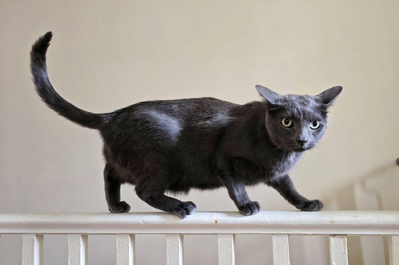 A most brave and daring undertaking for a scaredycat. | Scrolller