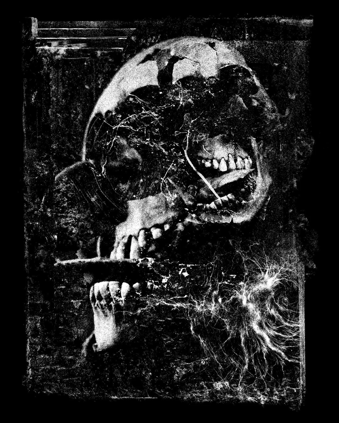 On The Face of The Cosmos IV - Derek Setzer | Scrolller