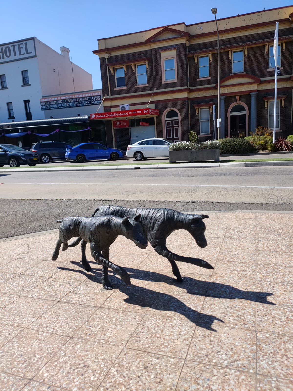 A piece of contemporary art in Goulburn- Bush Pack | Scrolller