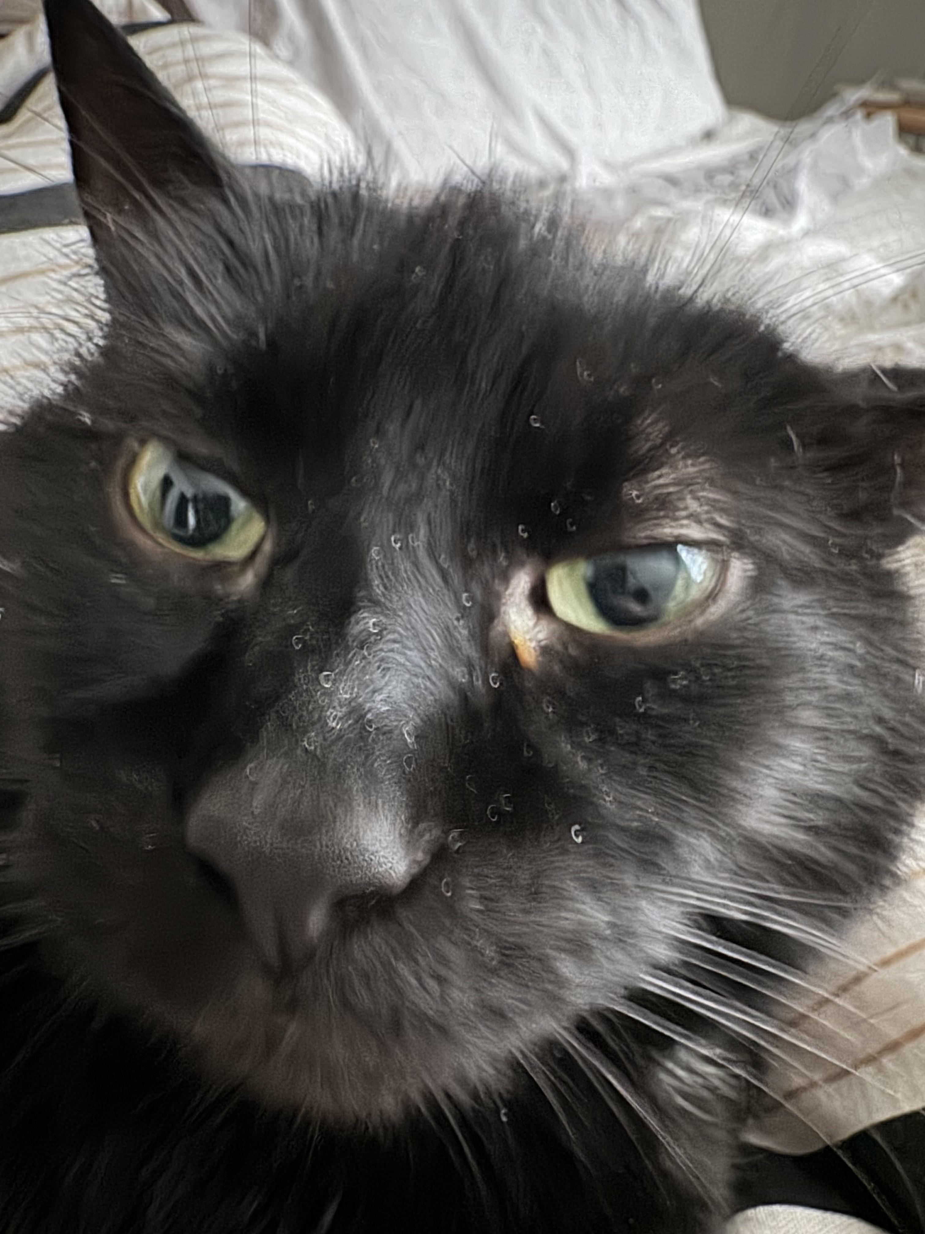 When you open the front-facing camera by accident. | Scrolller