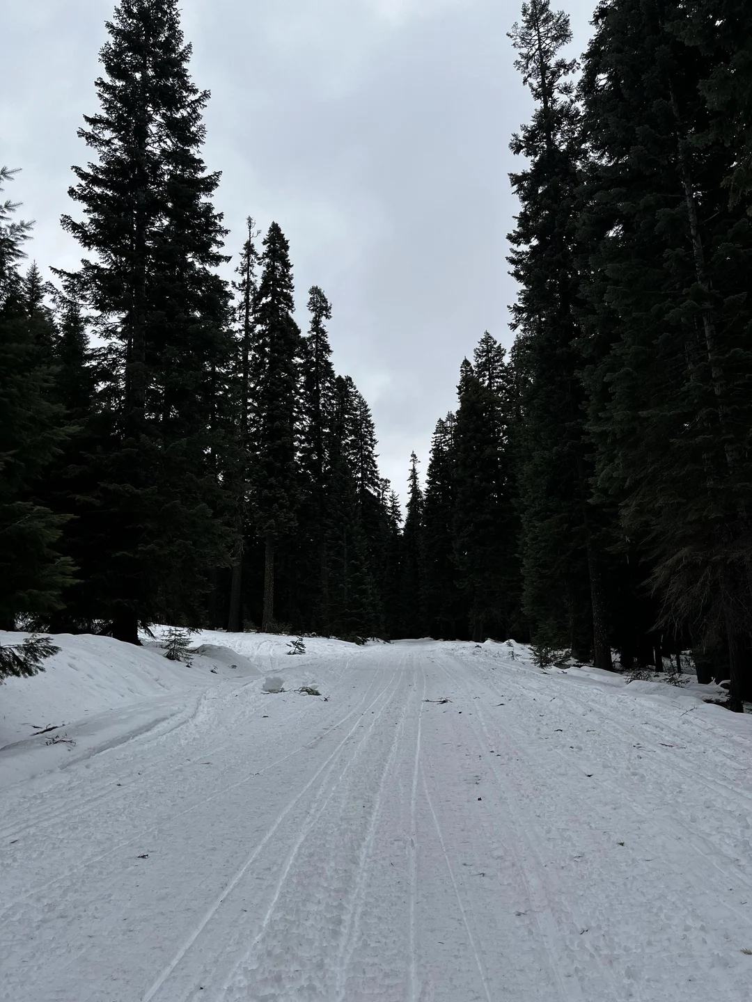 Southern Oregon, USA - winter ‘22/‘23. | Scrolller