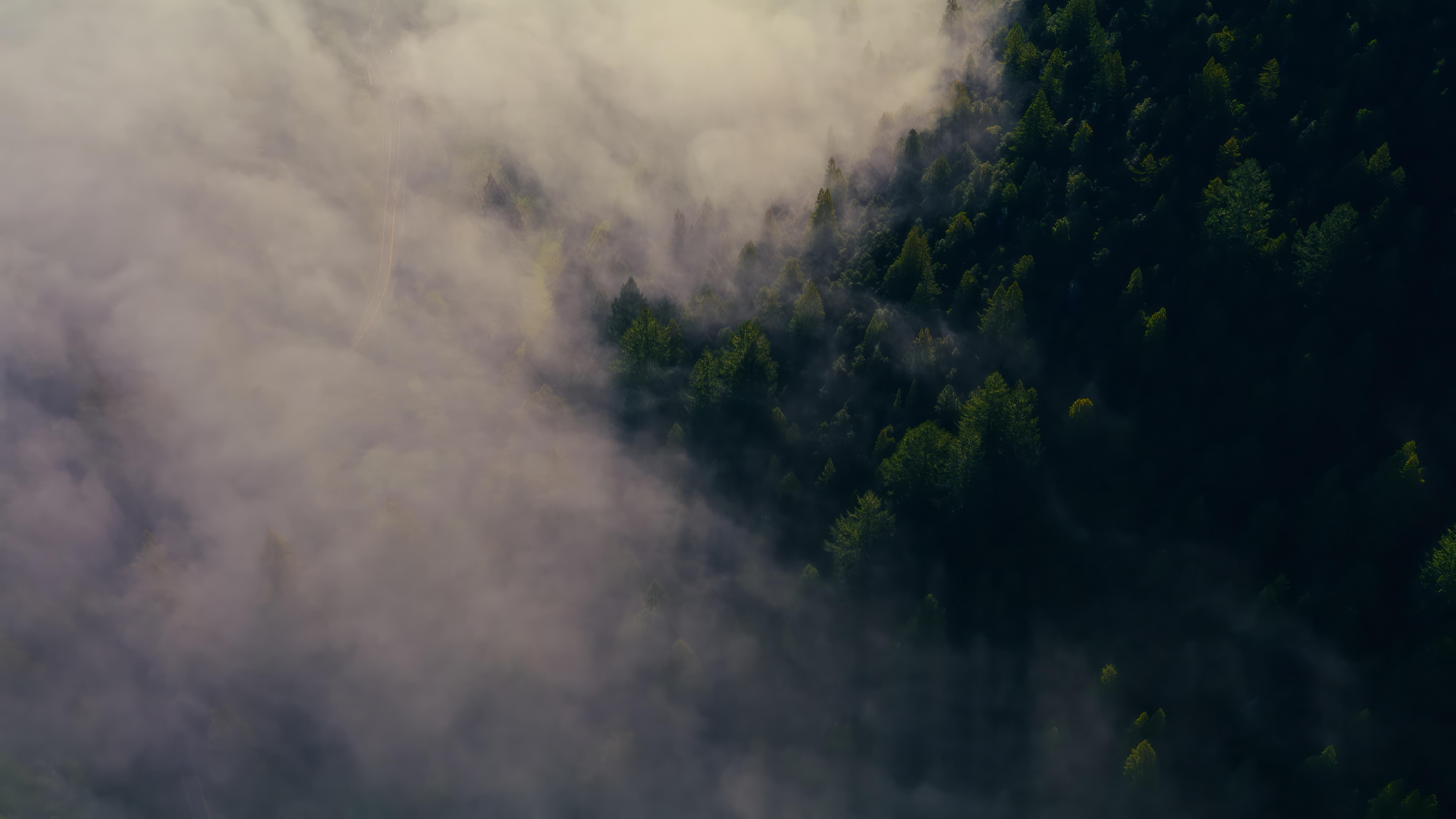 Stills of the macOS Sonoma Motion Wallpapers [7680x4320] | Scrolller