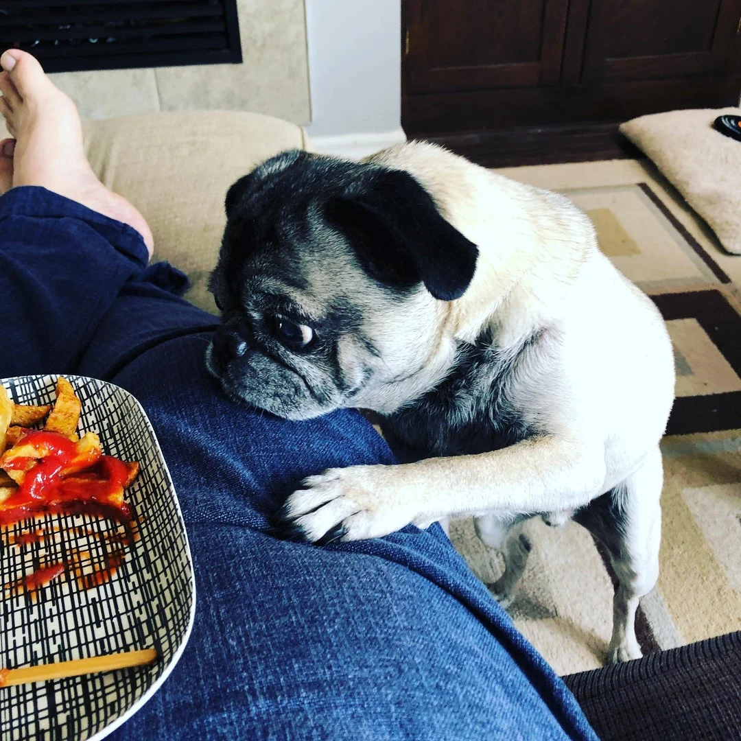 Said goodbye to this goofball recently | Scrolller