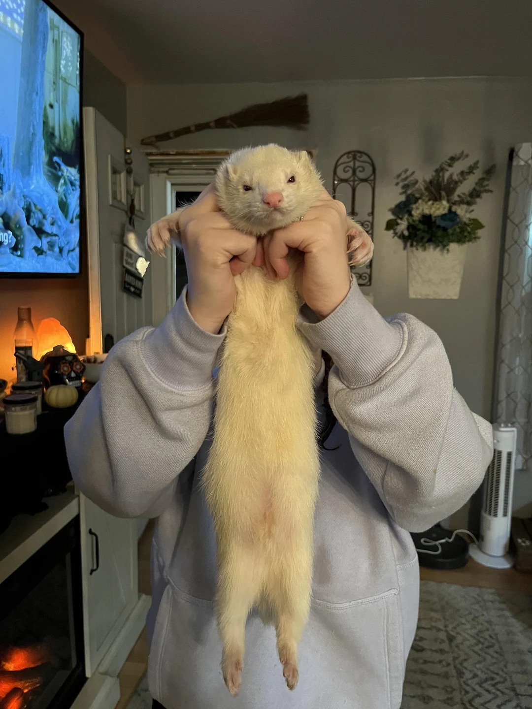 Unit 1 of 5 | Scrolller