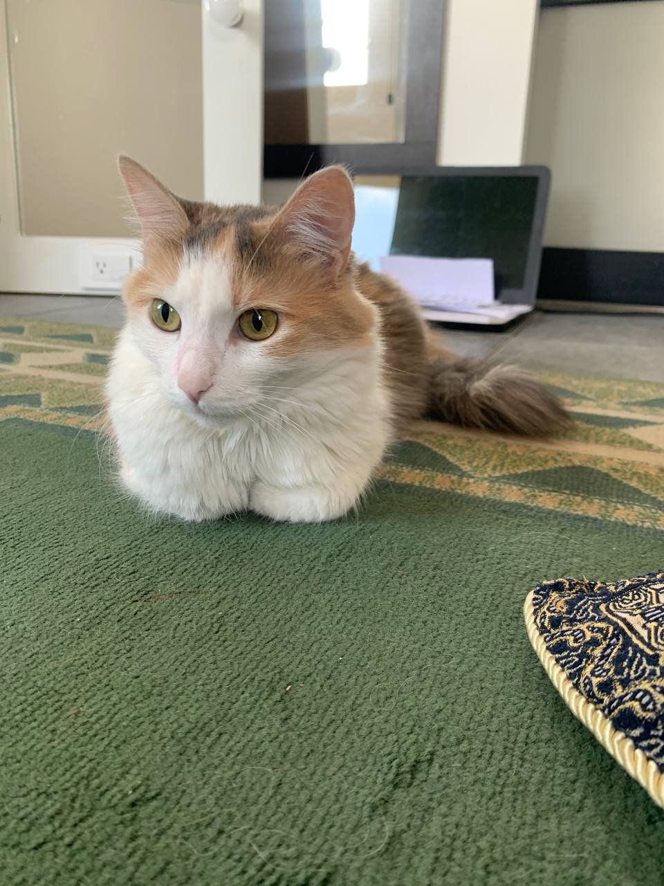 Loaf check (OC) | Scrolller