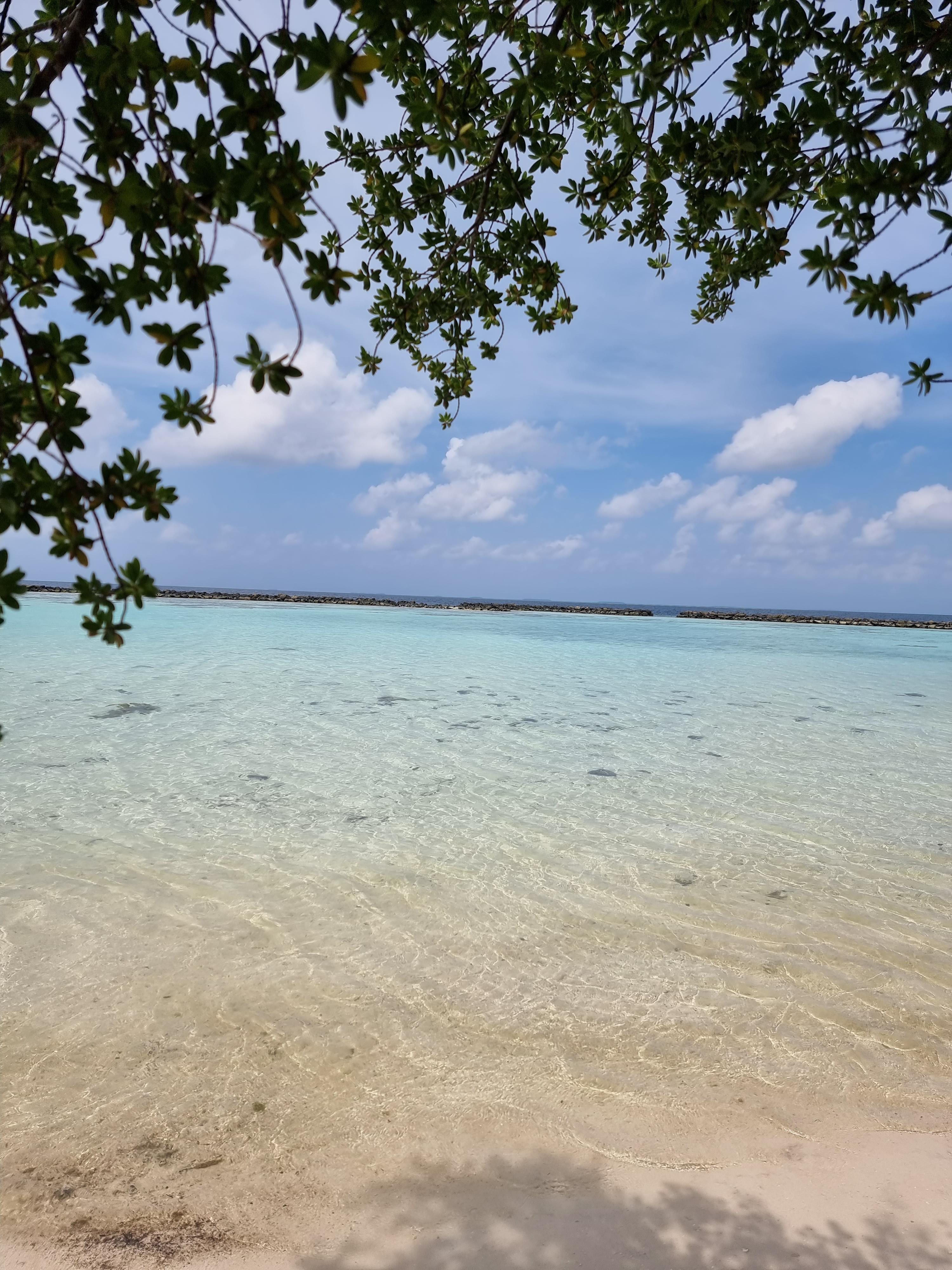 Baa Atoll- Maldives. | Scrolller