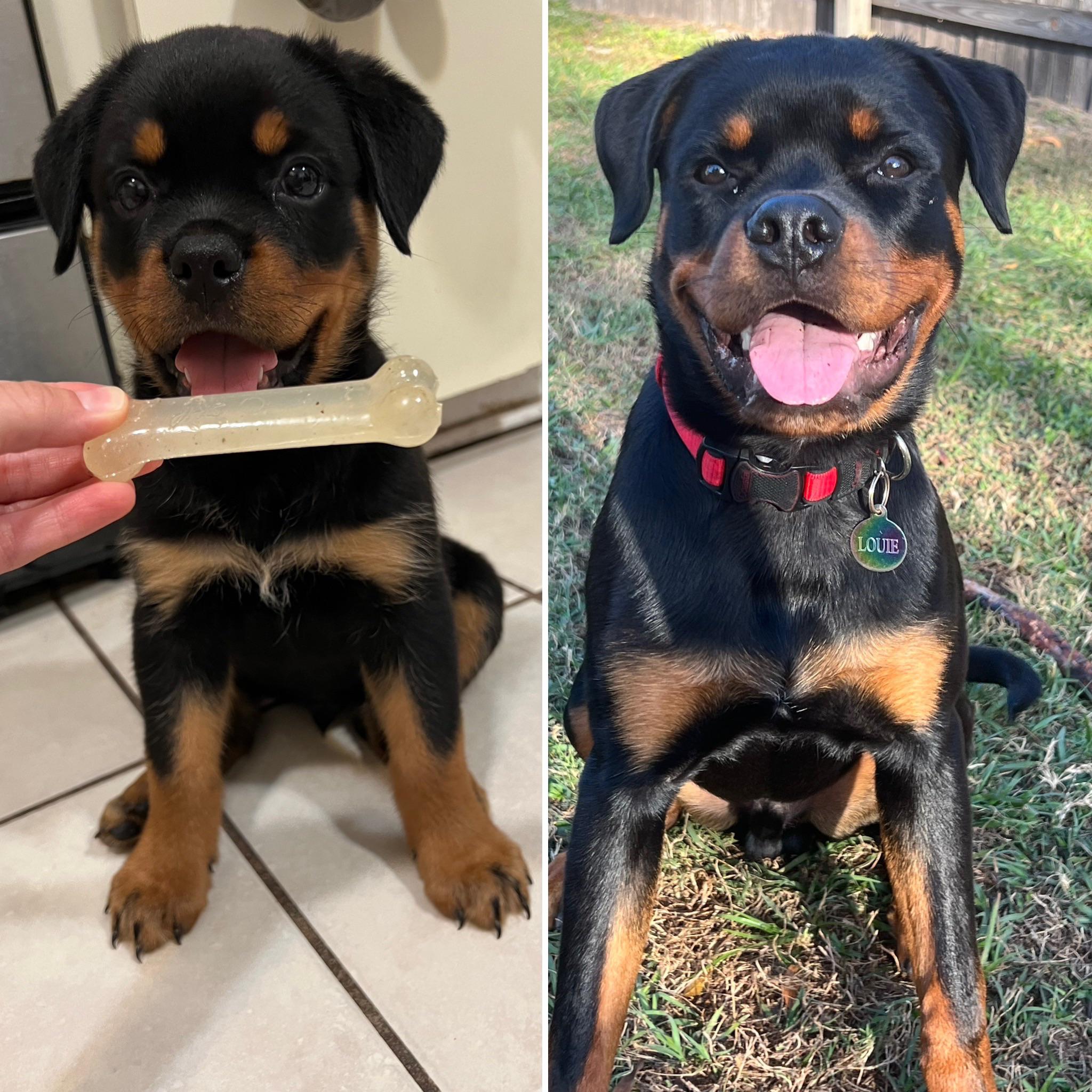 3 months vs 7 months. | Scrolller