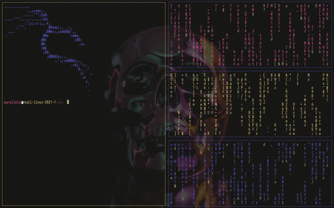 [XFCE] My 2nd rice attempt, I call it "Skull Candy" theme... | Scrolller