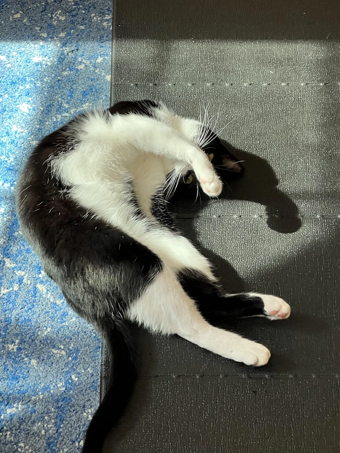 Channeling his inner Three Stooges | Scrolller