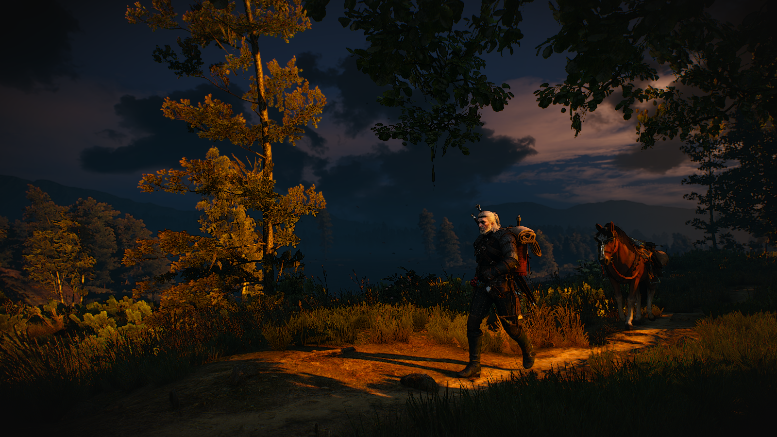 White Wolf on the Path | Scrolller