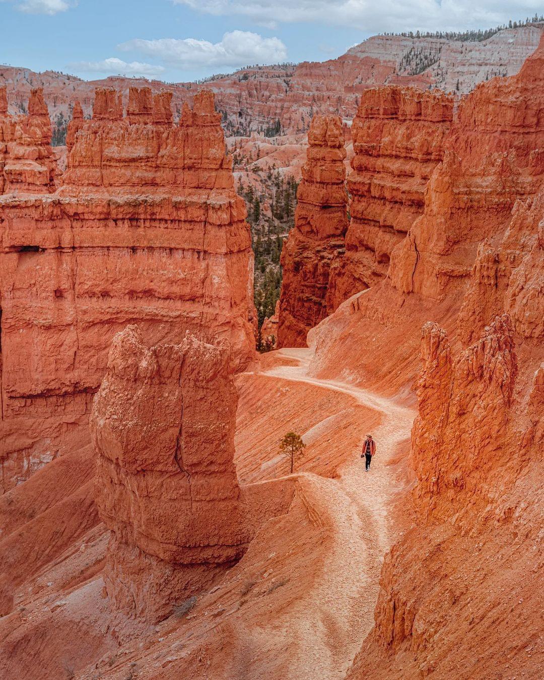 Bryce Canyon National Park In Utah, USA 🇺🇸 | Scrolller