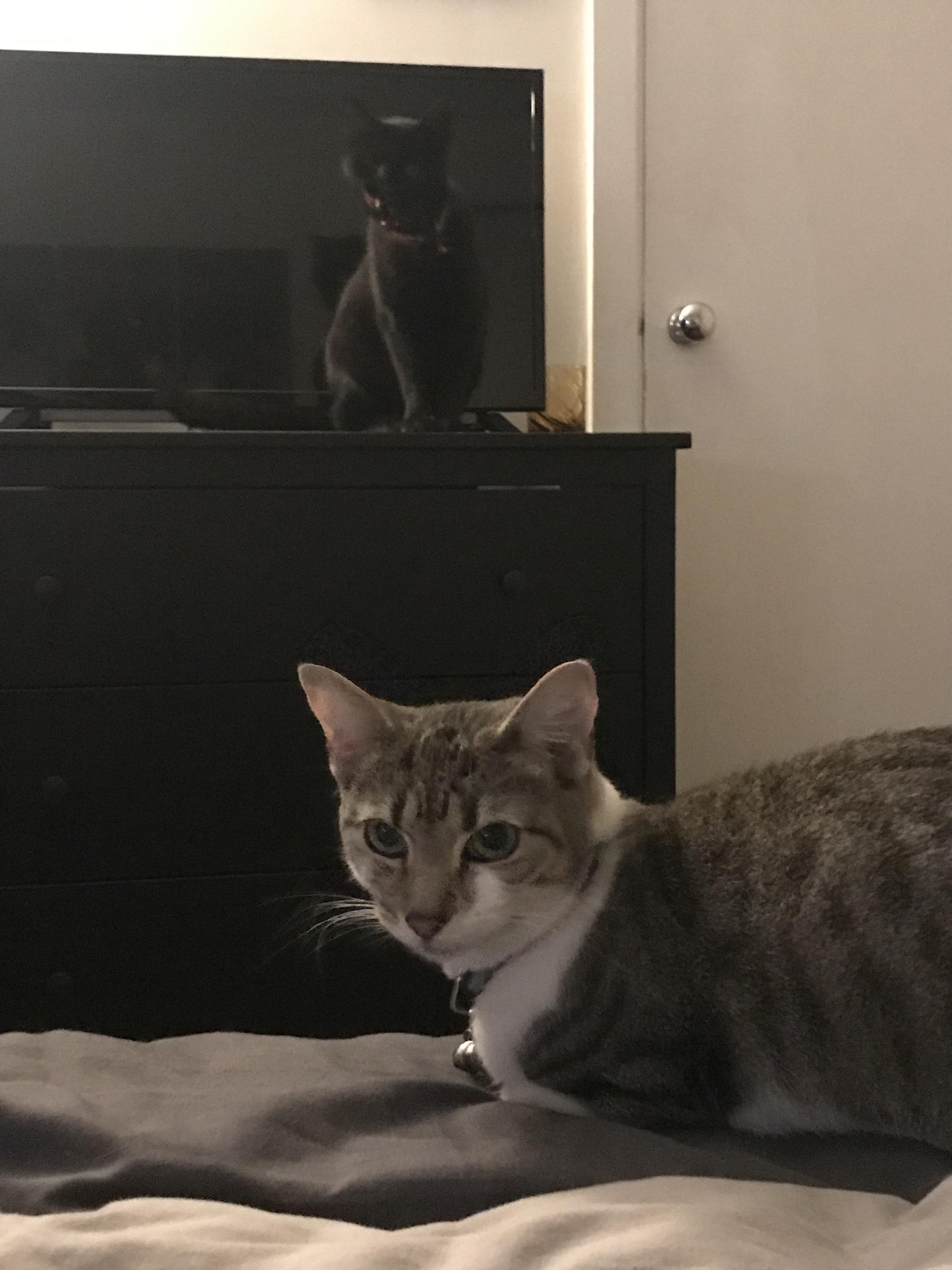 Bonus points if you spot the void | Scrolller