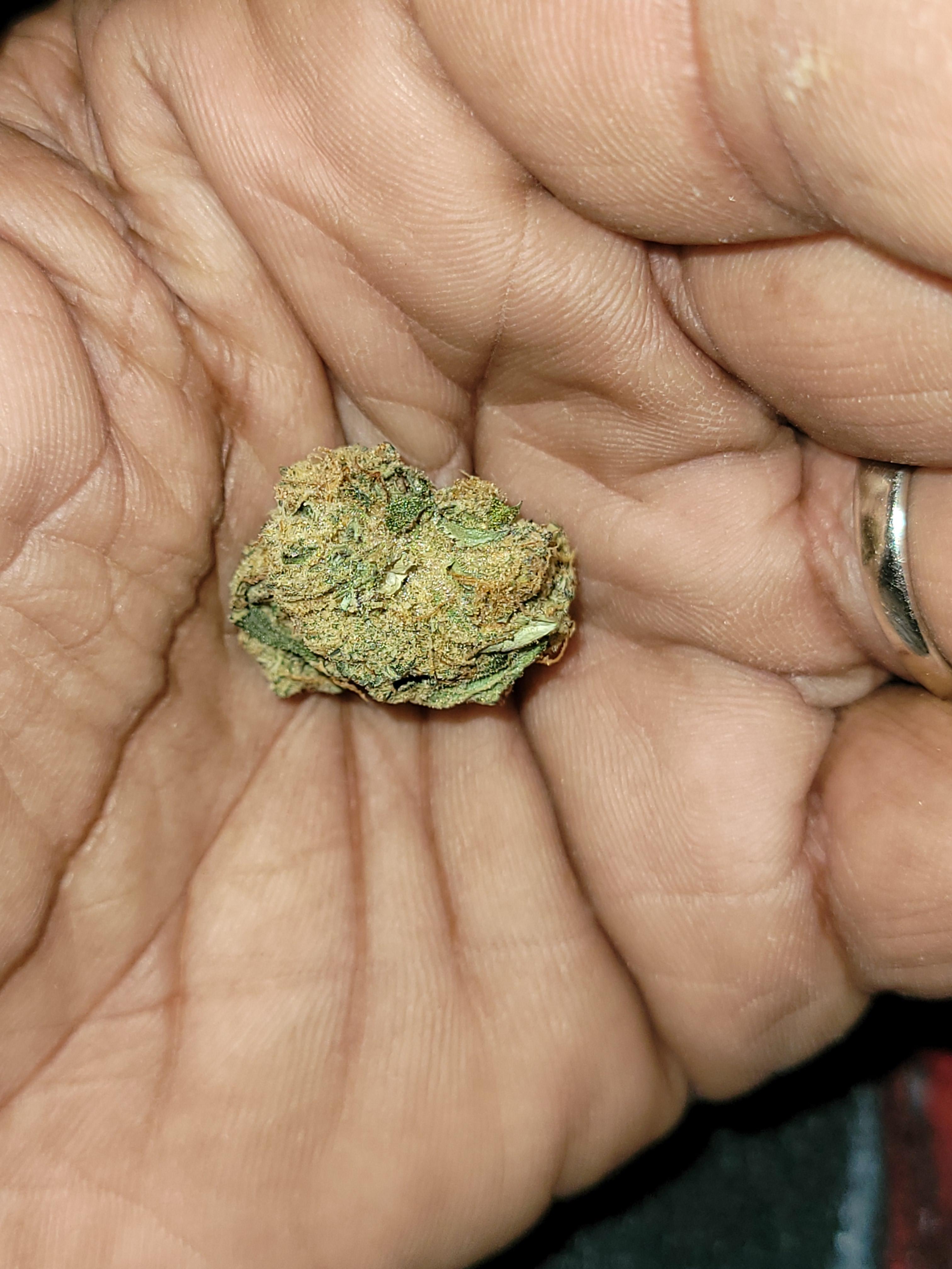 GMO Wake & Bake | Scrolller