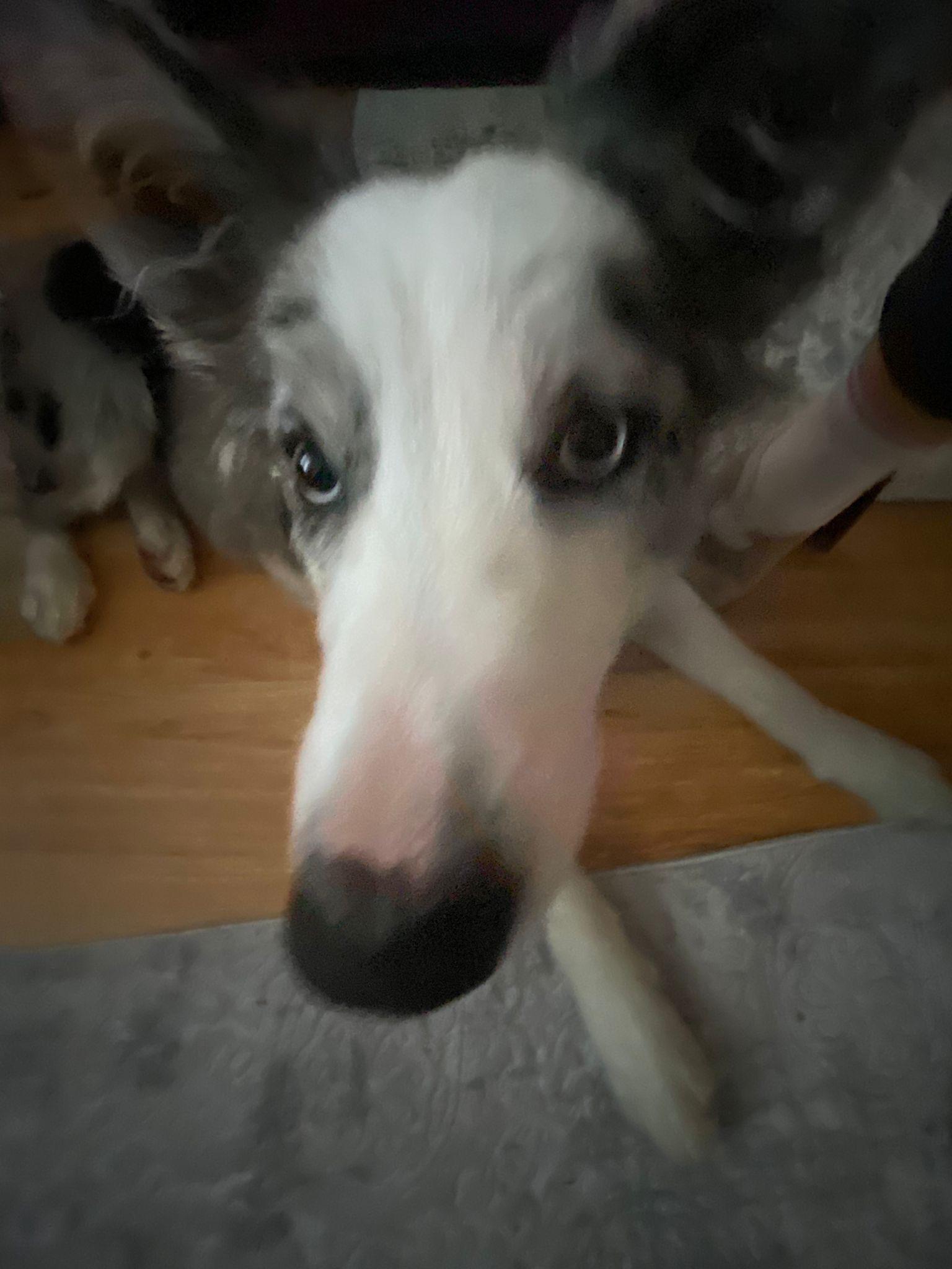 Her name is tia | Scrolller