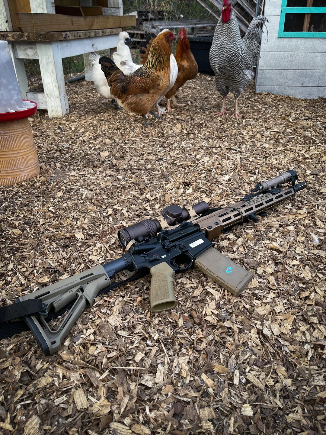 Behold! The URGI chicken defender | Scrolller