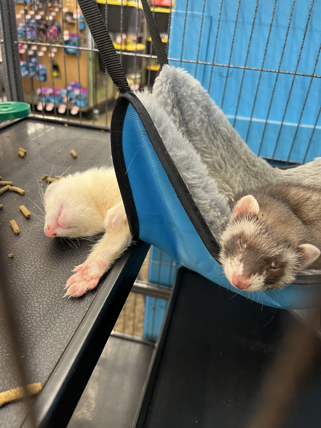 a murder | Scrolller