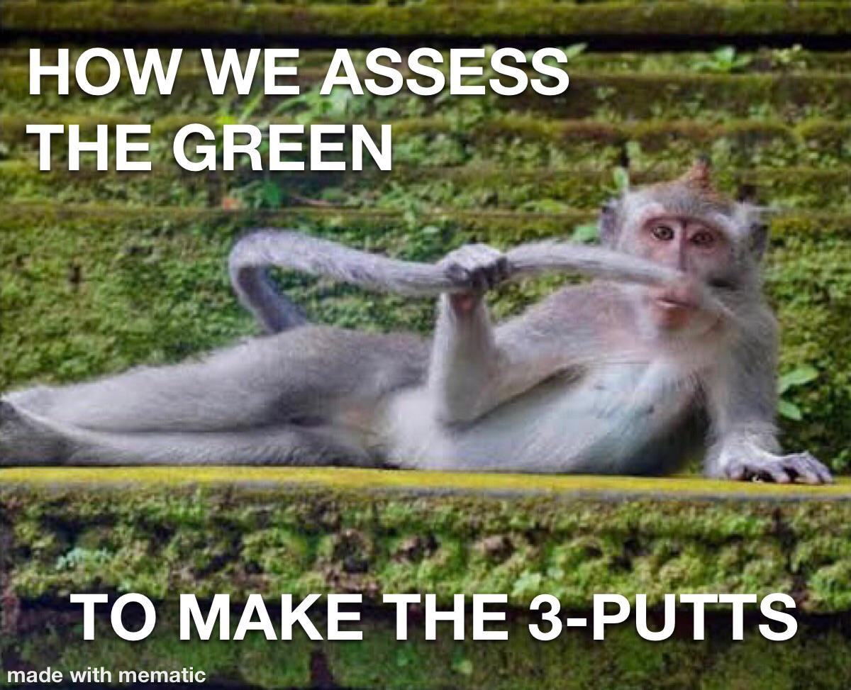 We all look the same | Scrolller