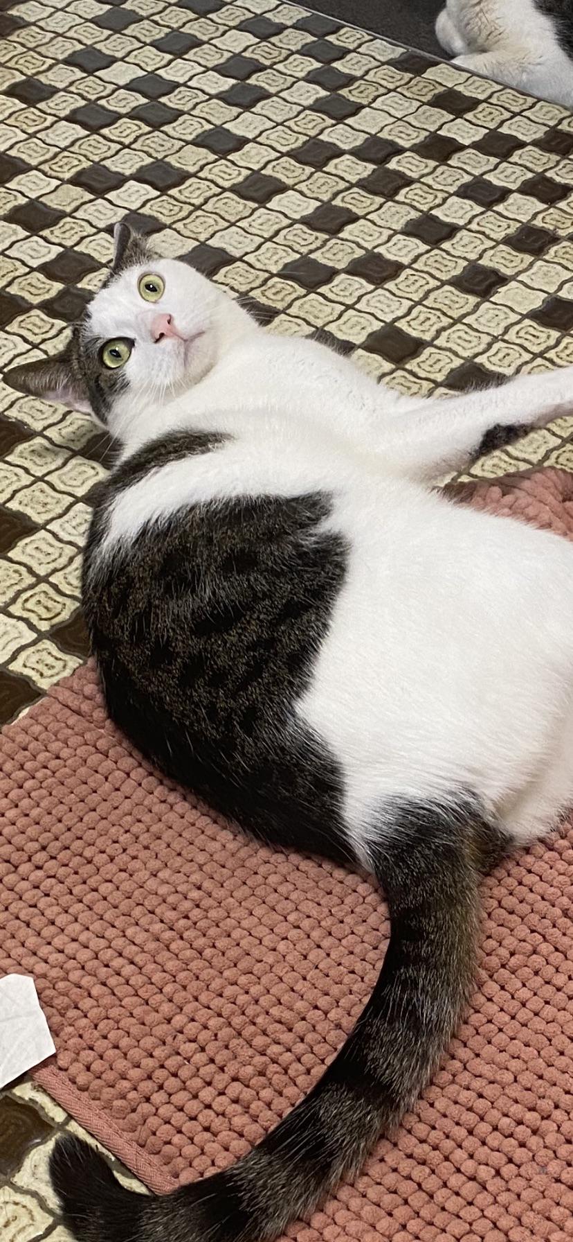 I made a noise | Scrolller