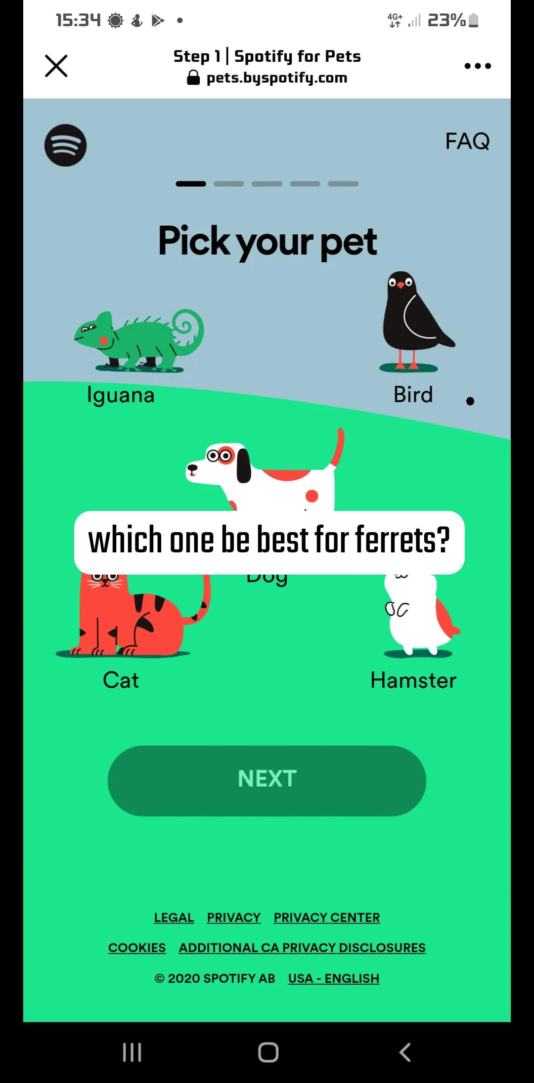 Discover more like Ferrets: Spotify for pets. and Related Content | Scrolller
