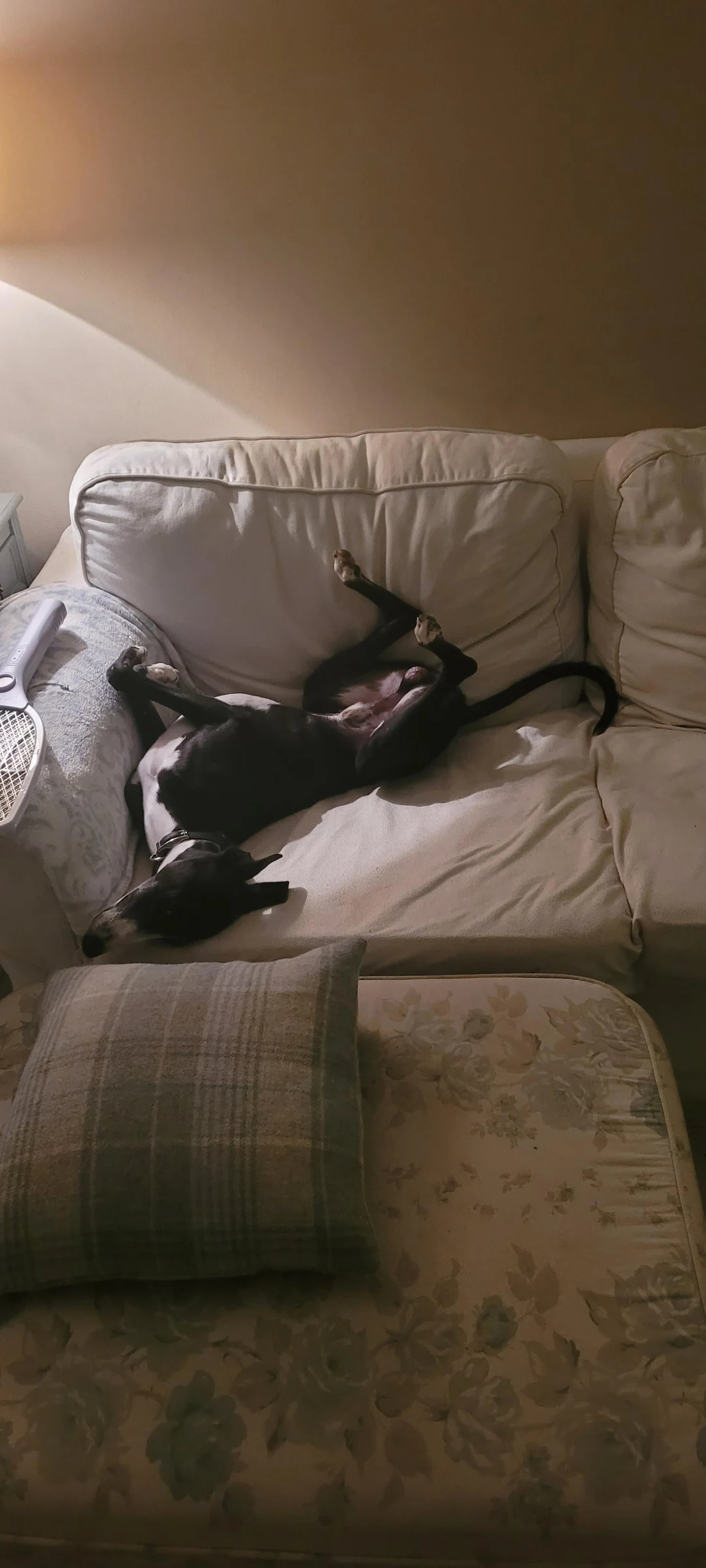 I think hew possessed | Scrolller