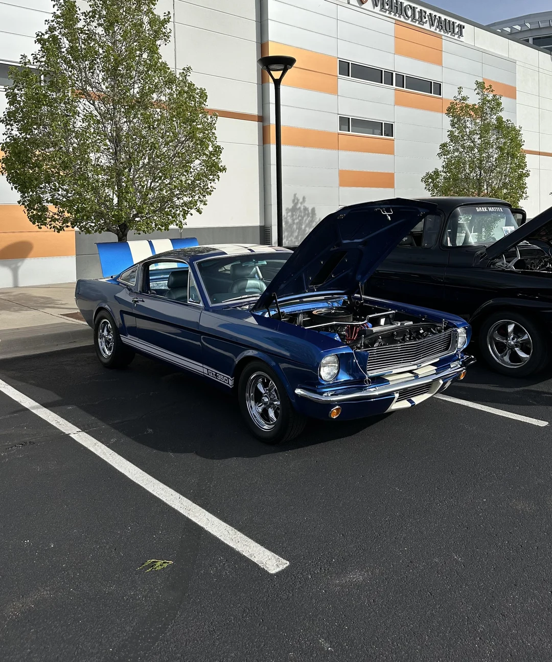Ford Mustang GT350 [2614x3136] | Scrolller